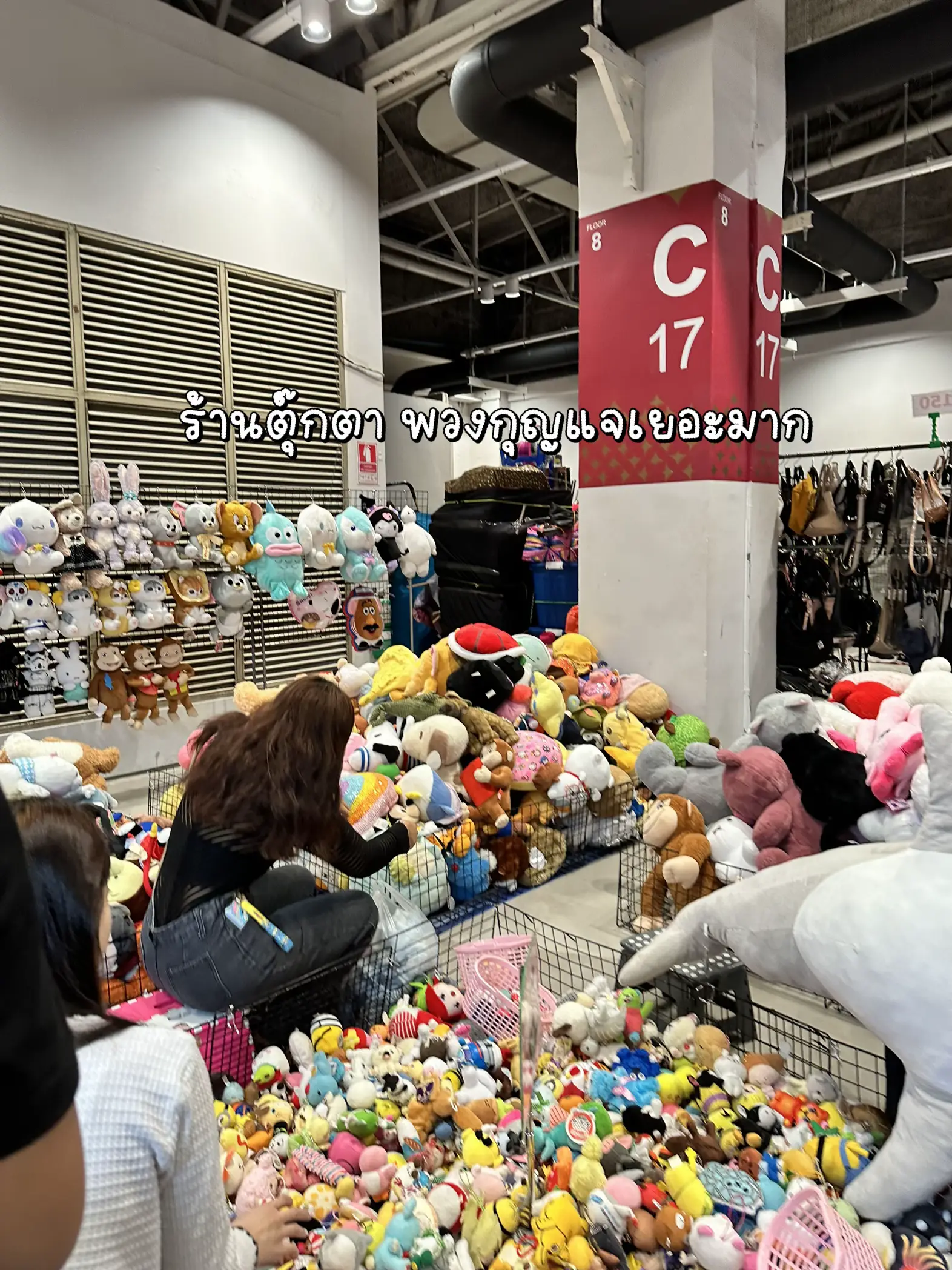 พันธุ์ทิพย์งามวงศ์วาน ver.2024 | แกลเลอรีที่โพสต์โดย peem | Lemon8