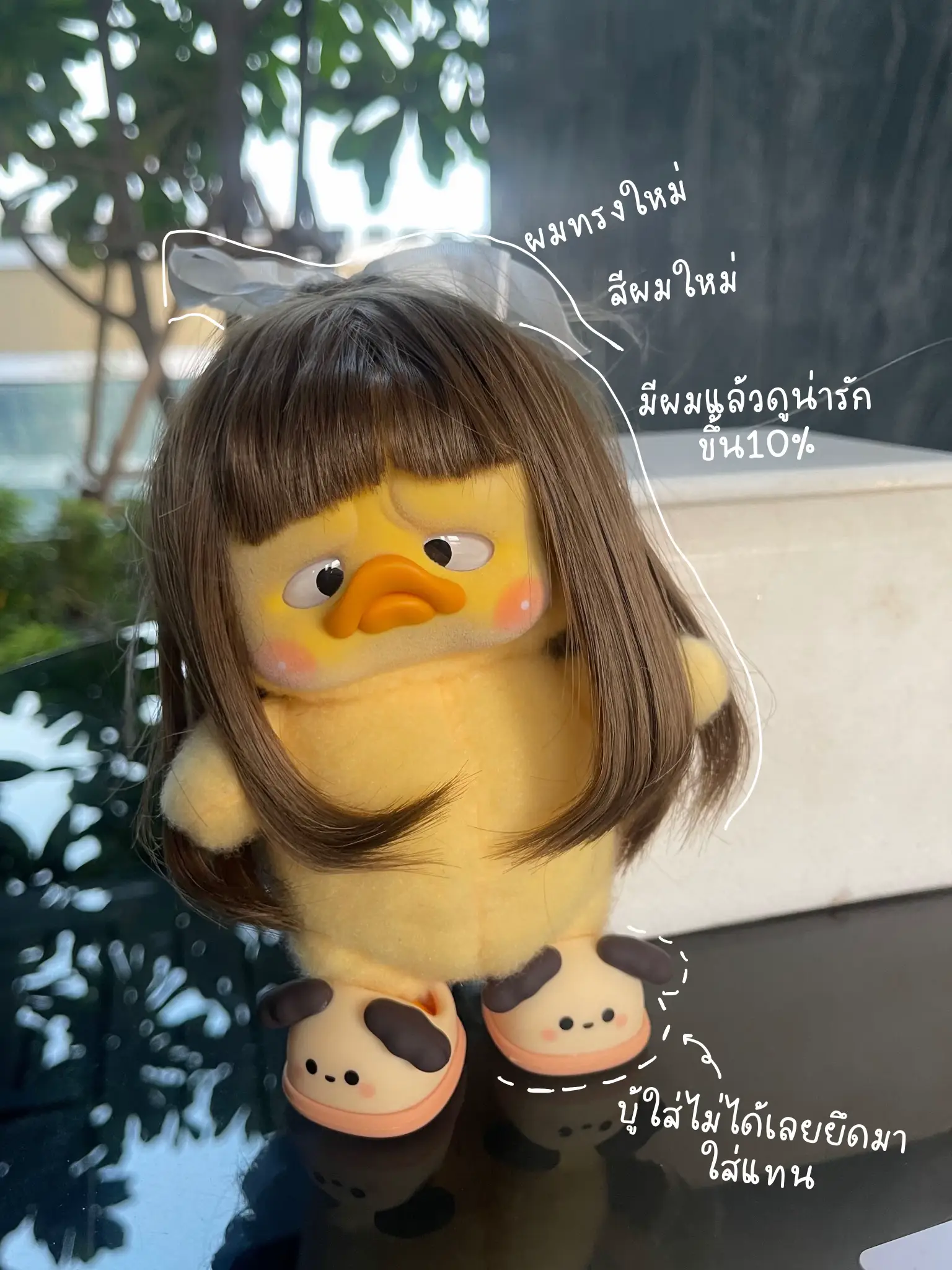 เป็ด Upset Duck - การค้นหาใน Lemon8