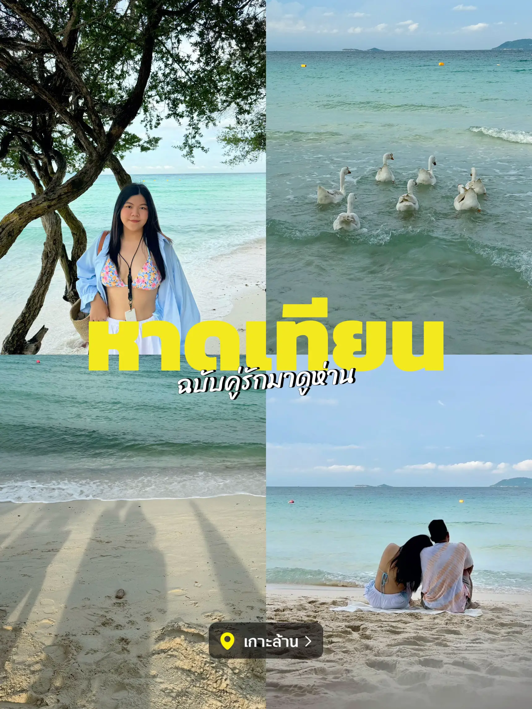 ไปดูน้องห่าน หาดเทียน🪿 | แกลเลอรีที่โพสต์โดย Ruhbeer | Lemon8