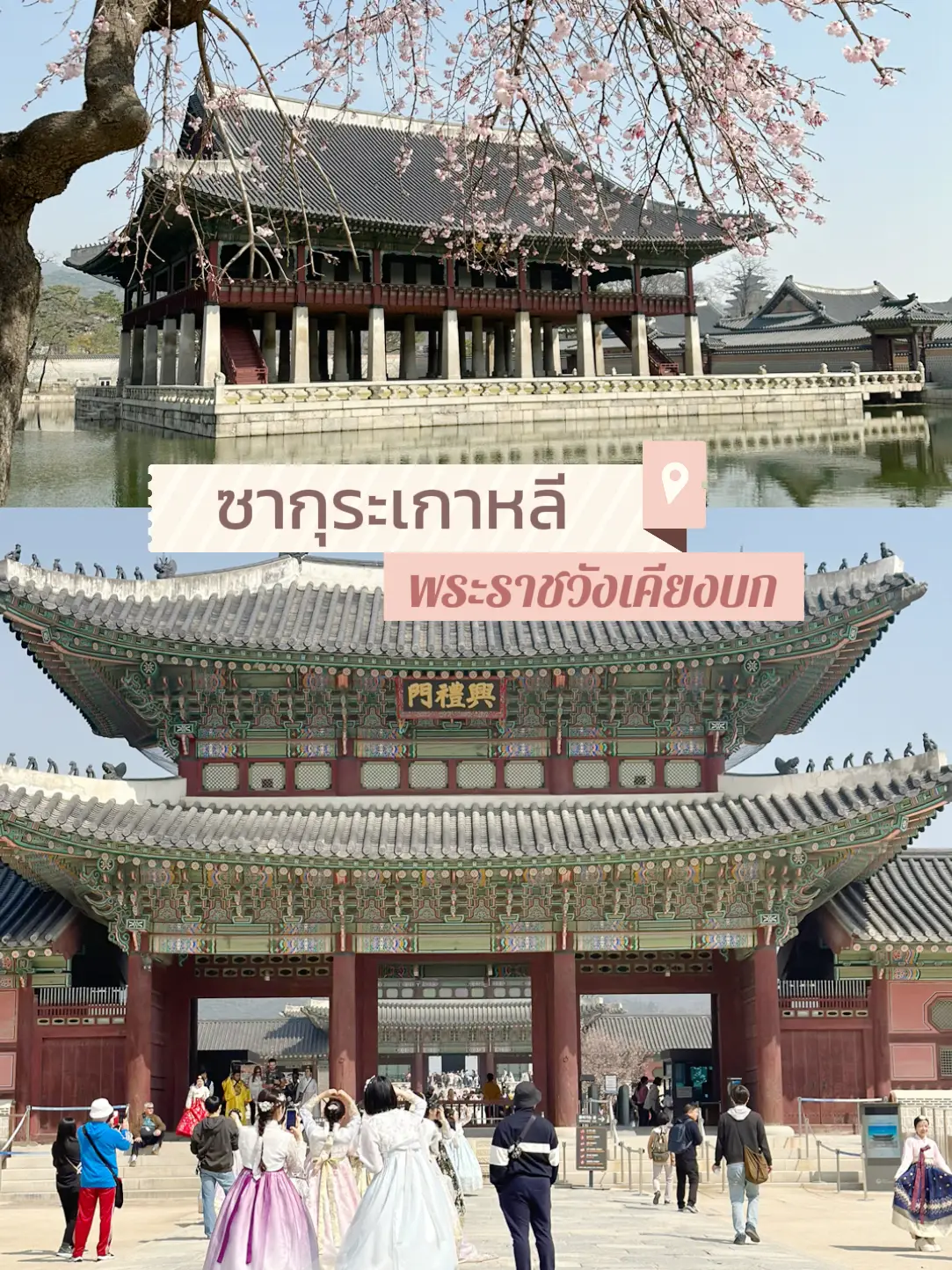 🇰🇷 1日。韓国はどこへ行くの?🌸宮殿が地面にあるとき🫧 | ˚ ༘ Patperries🥯が投稿したフォトブック | Lemon8