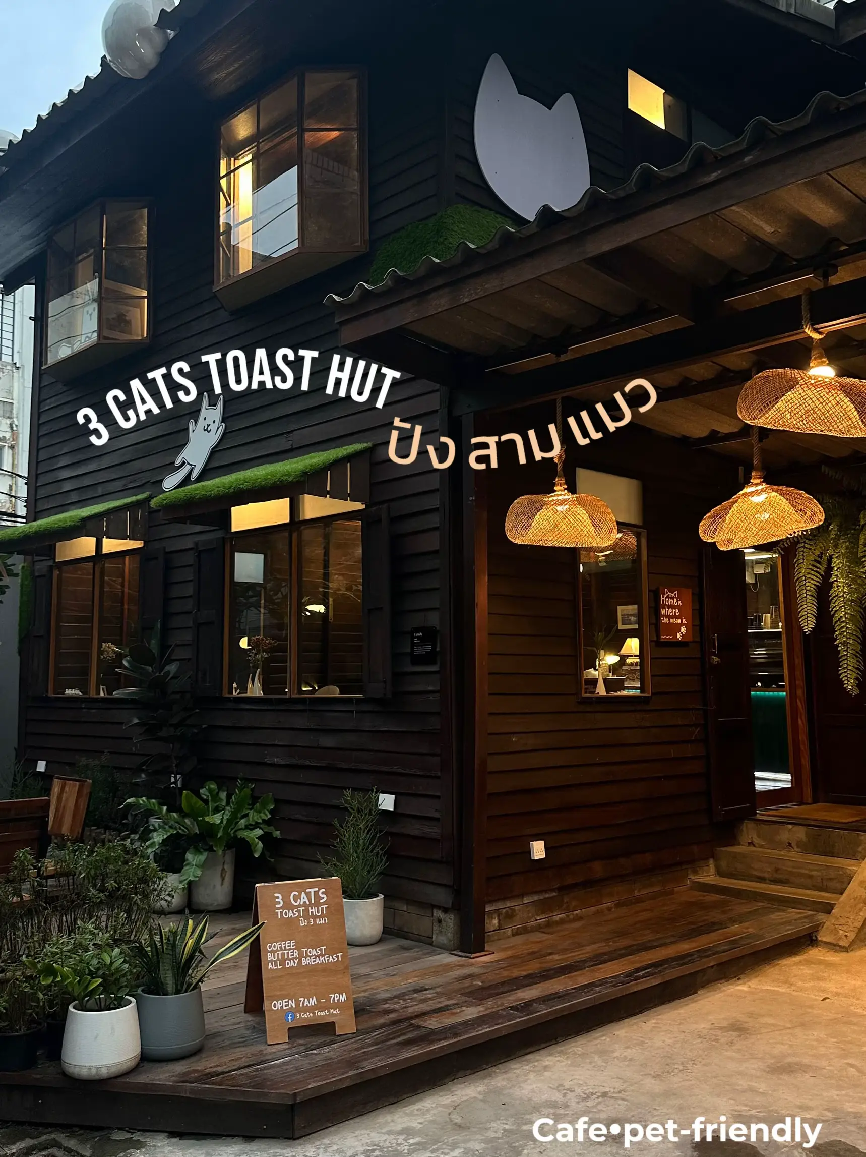 คาเฟ่ทาสแมว 3 cats toast hut | แกลเลอรีที่โพสต์โดย Yyeeeyyeeey | Lemon8