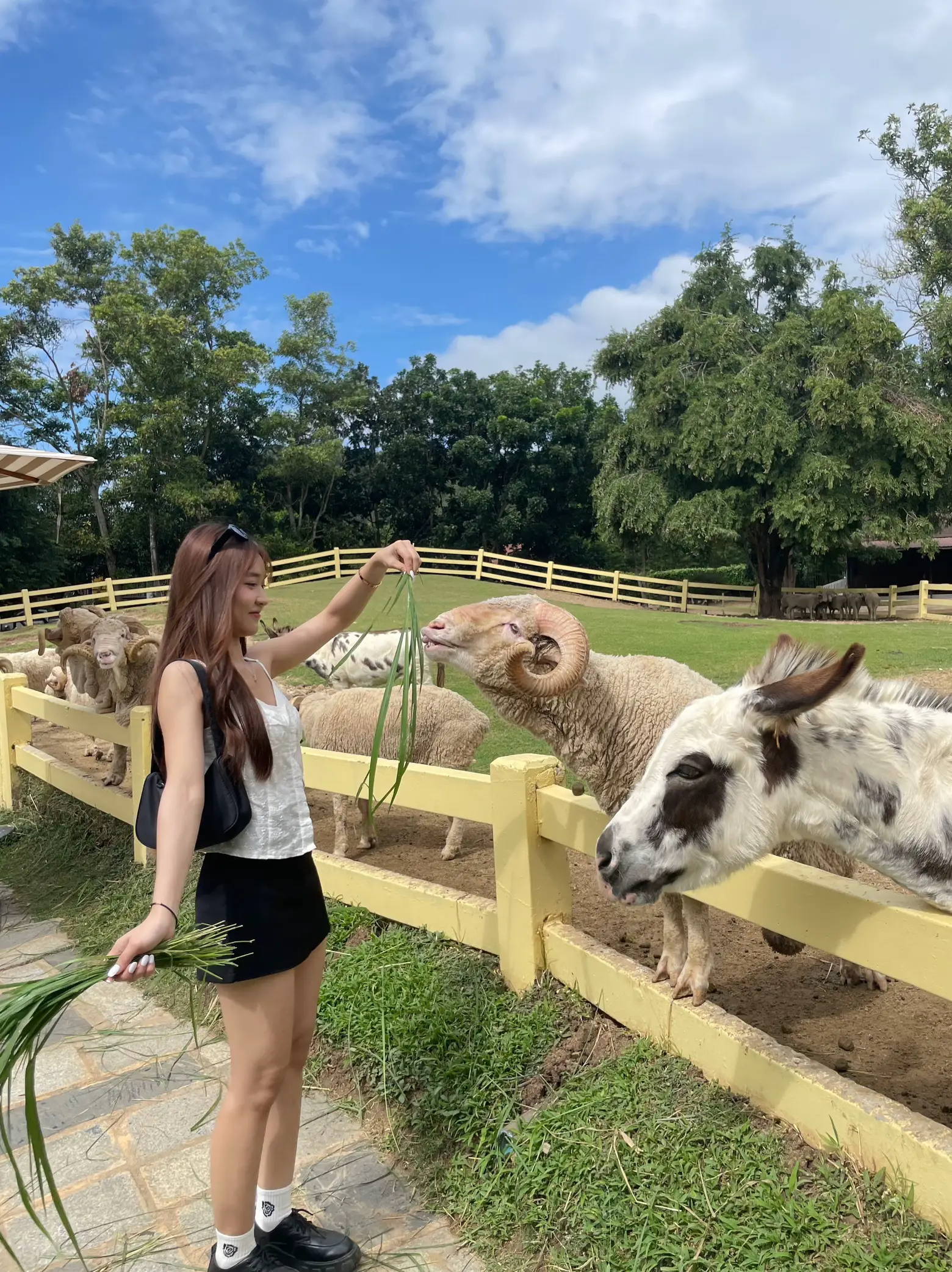 Primo Piazza | แกลเลอรีที่โพสต์โดย Lalida☁️ | Lemon8