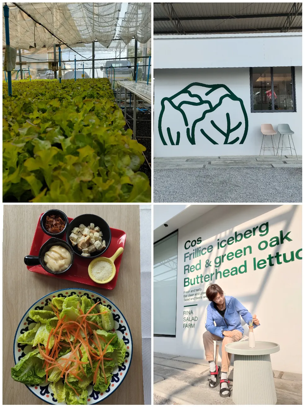 Ri-Na Salad Farm Cafe ☕🥗ประชาอุทิศ90 | แกลเลอรีที่โพสต์โดย tu bgood ...
