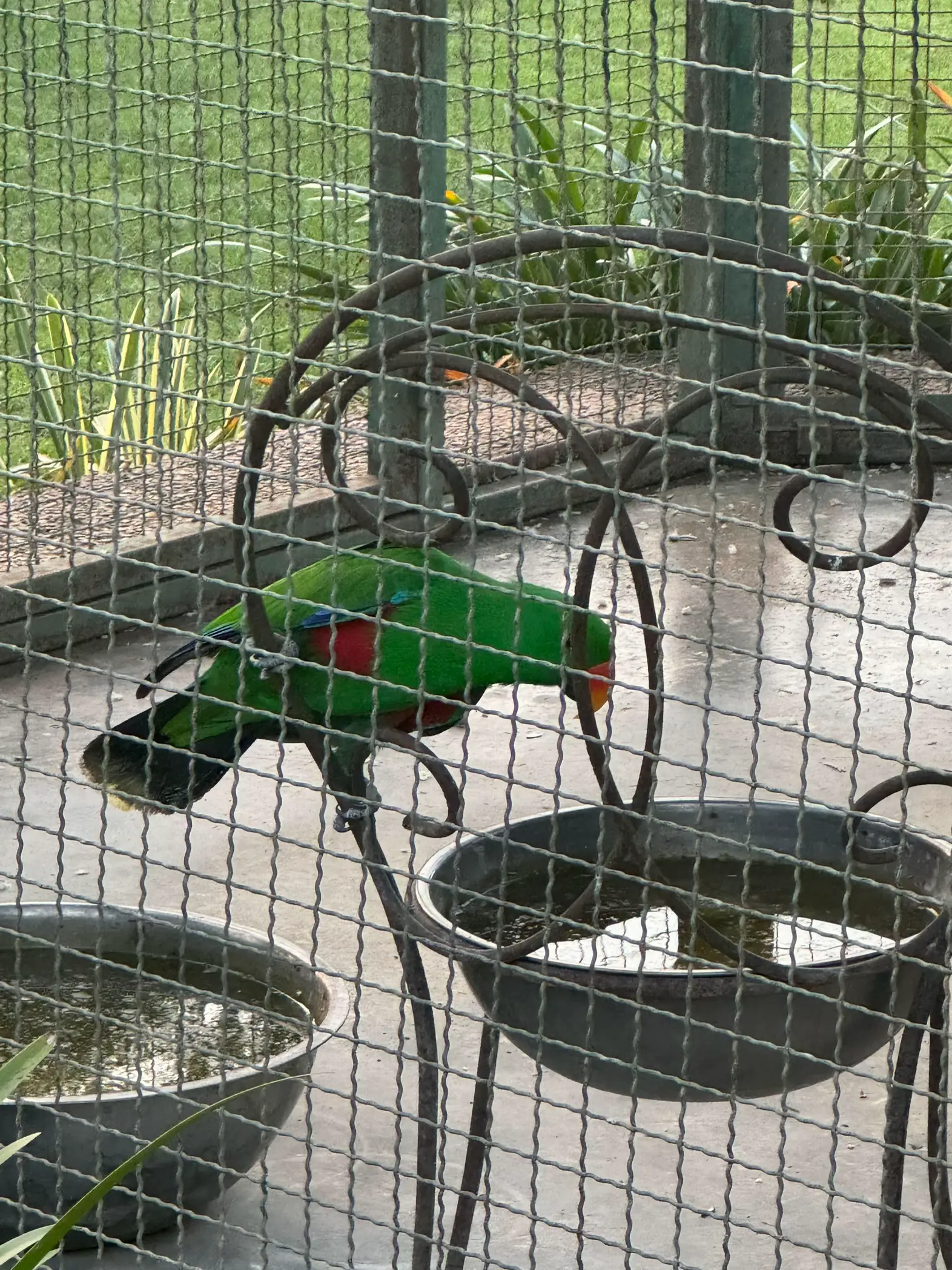 เที่ยวเขาใหญ่นอนไหนดี? ราคาดี วิวหลักล้าน🏕️⛰️ | แกลเลอรีที่โพสต์โดย cinearism💀 | Lemon8