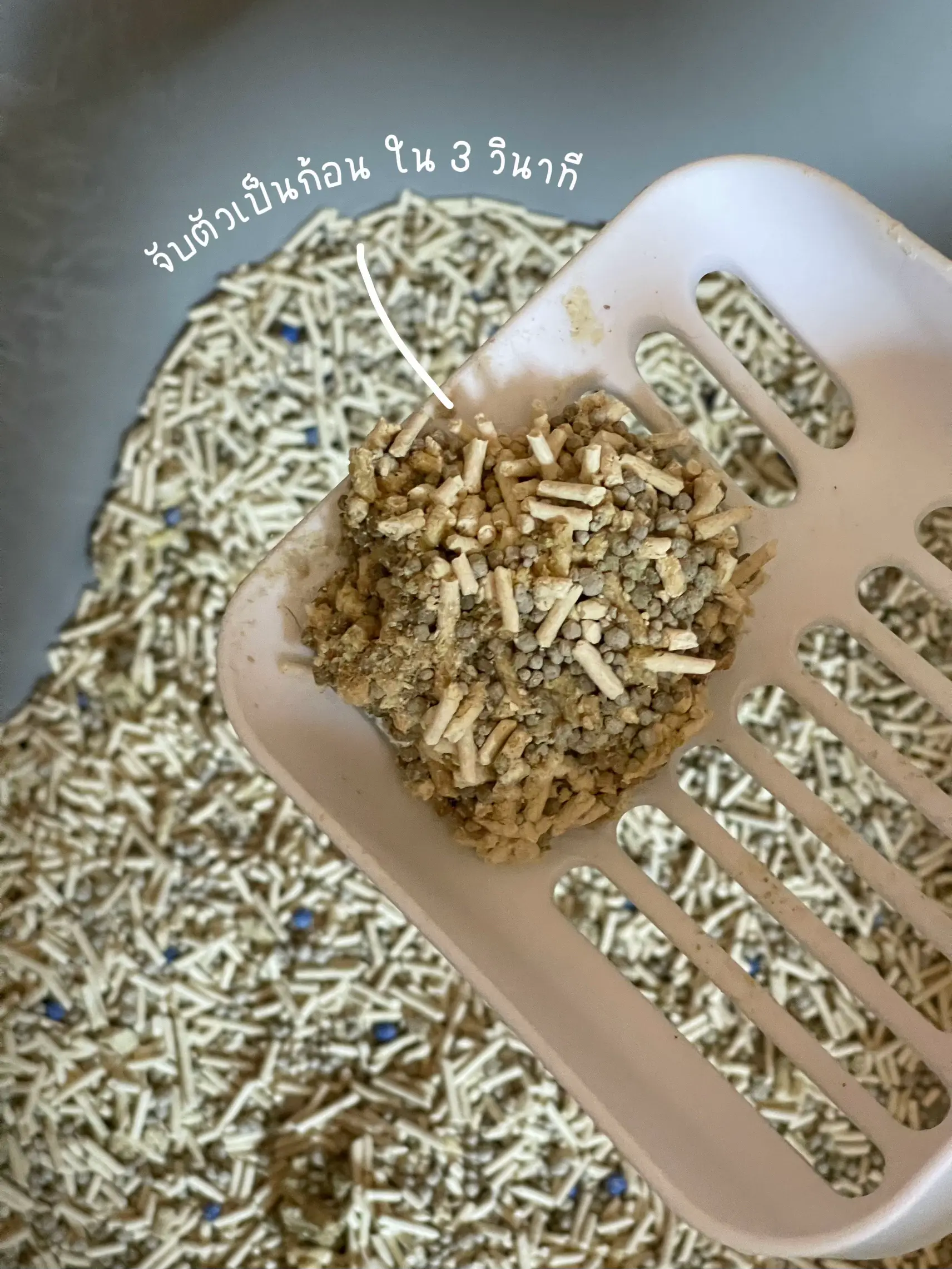 รีวิว ทรายแมวเต้าหู้+เบนโทไนท์ 🐈 ฉบับจากใจทาส ㅡ PIDAN | แกลเลอรีที่โพสต์โดย nth ˃ࡇ˂ | Lemon8