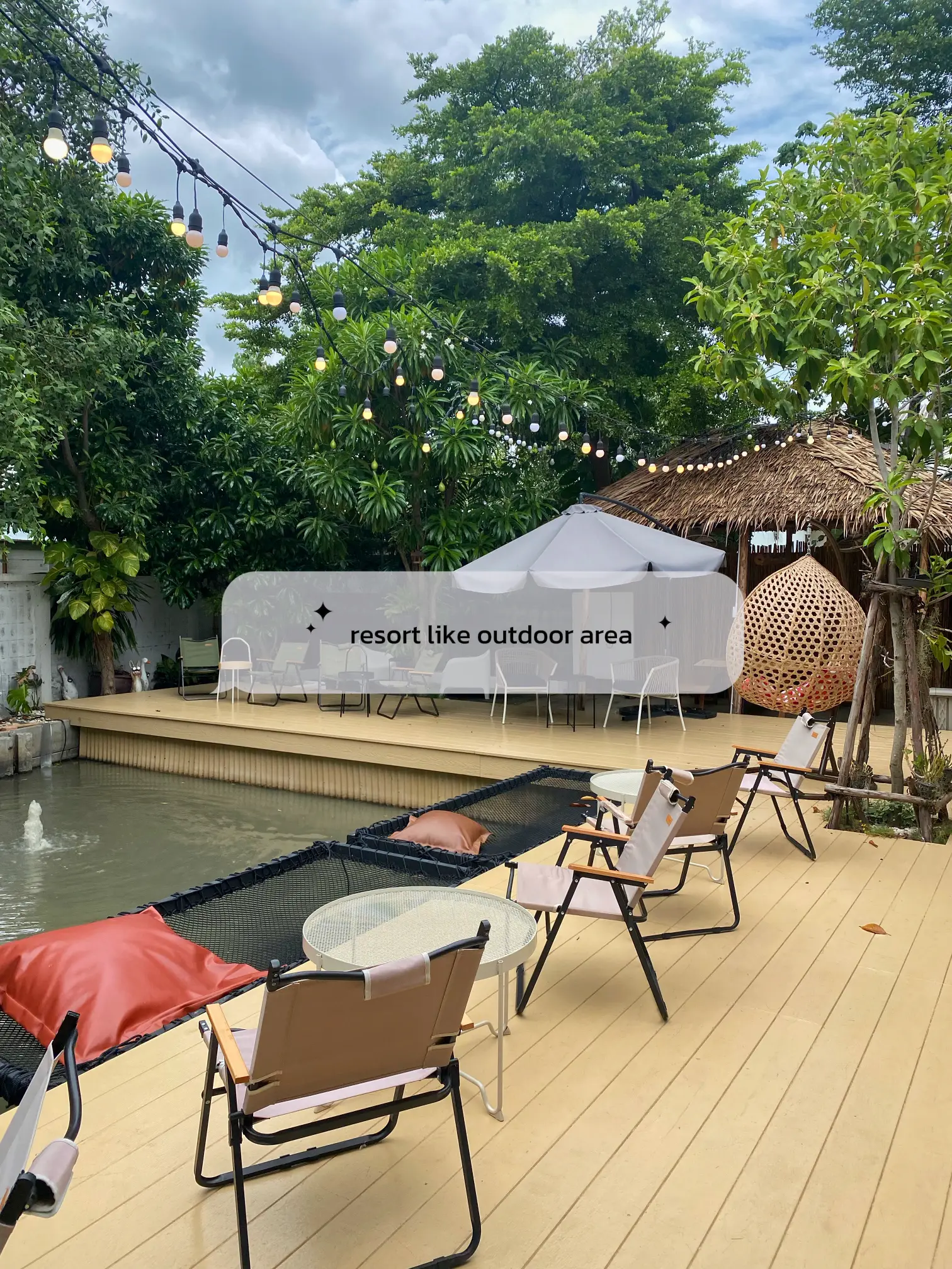 capybara cafe in bangkok?! - bkk | Gallery posted by nat | Lemon8