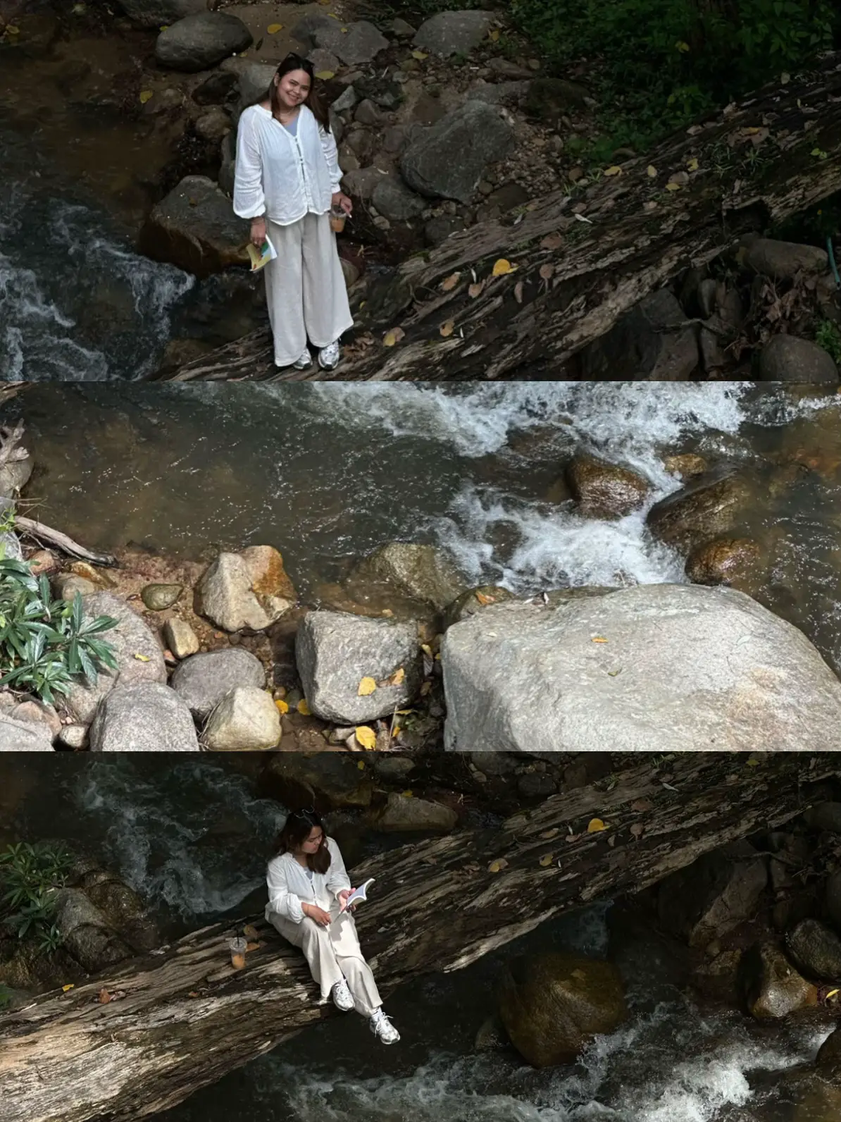 TARYN - TARA cafe & stay แม่กำปอง | แกลเลอรีที่โพสต์โดย Plathong_ch ...