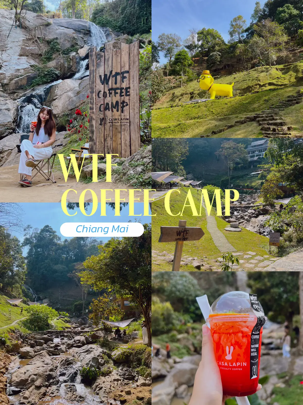 〽️ WTF COFFEE CAMP | แกลเลอรีที่โพสต์โดย _ggigii36🐈 | Lemon8