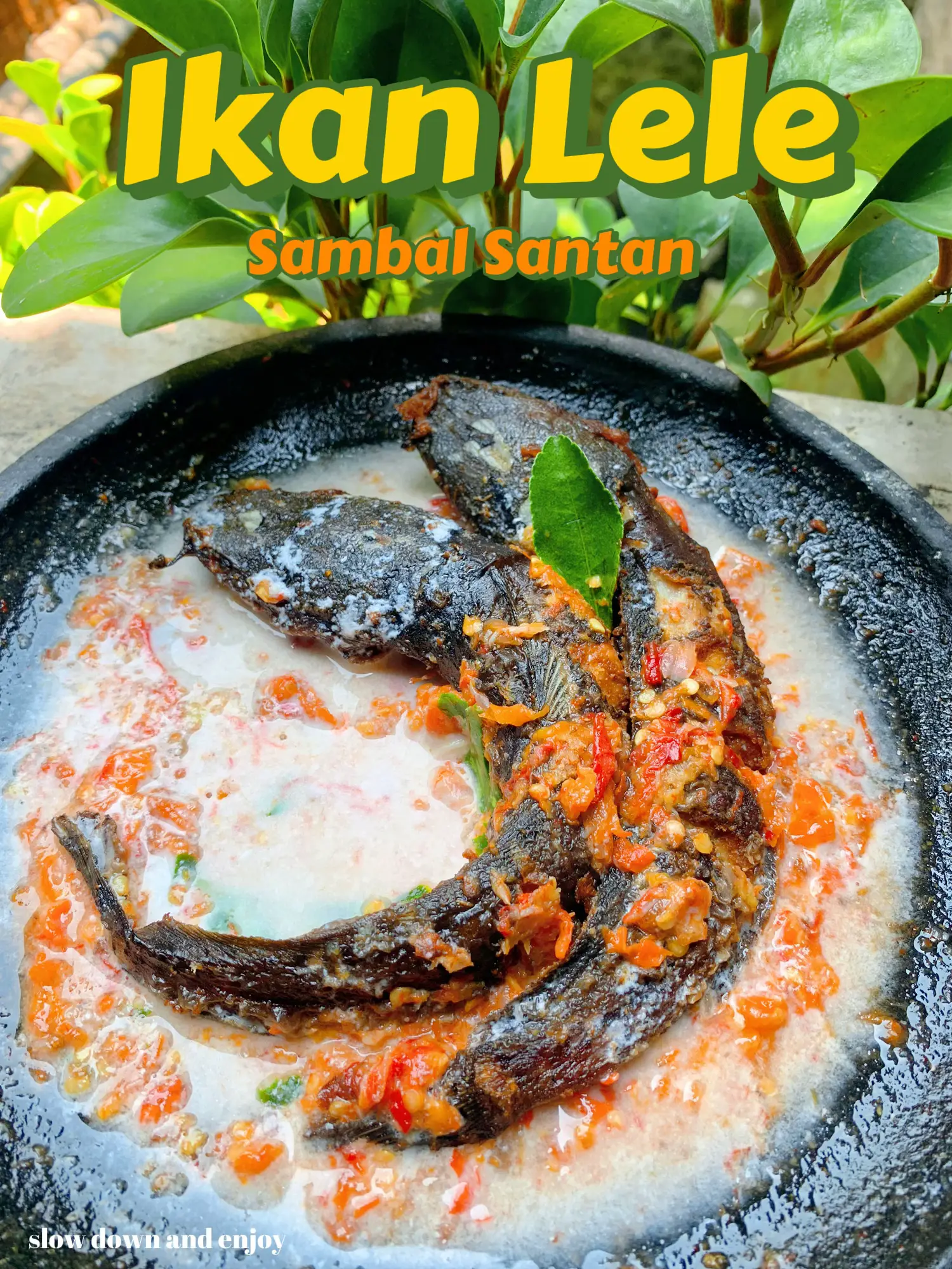 RESEP LELE SAMBAL SANTAN ENAKK ‼️😡 👩🏻‍🍳 | Galeri diposting oleh Puri Hana | Lemon8