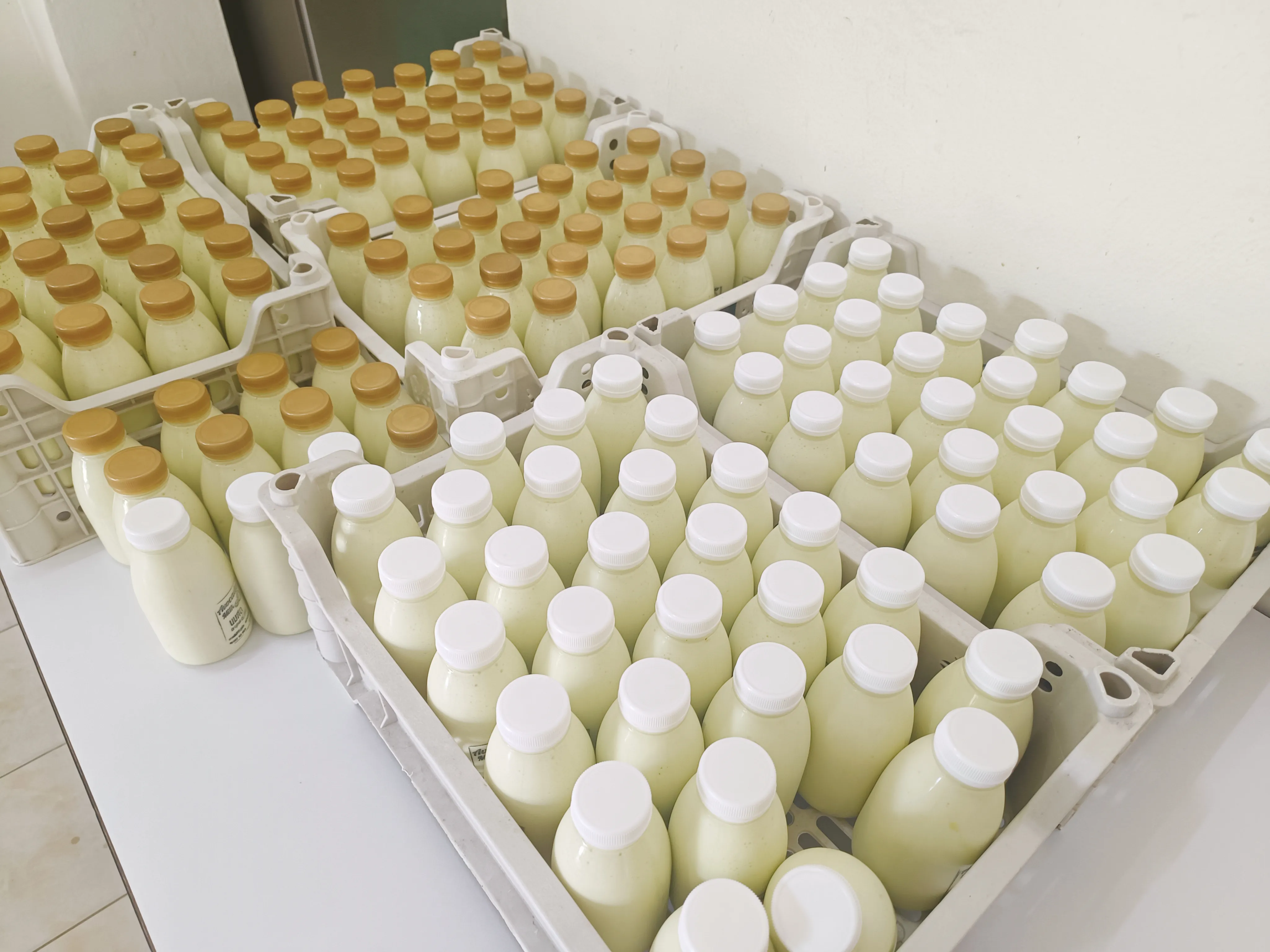 Fresh Milk Avoca | Gallery posted by Mamee Aimaem ️ | Lemon8