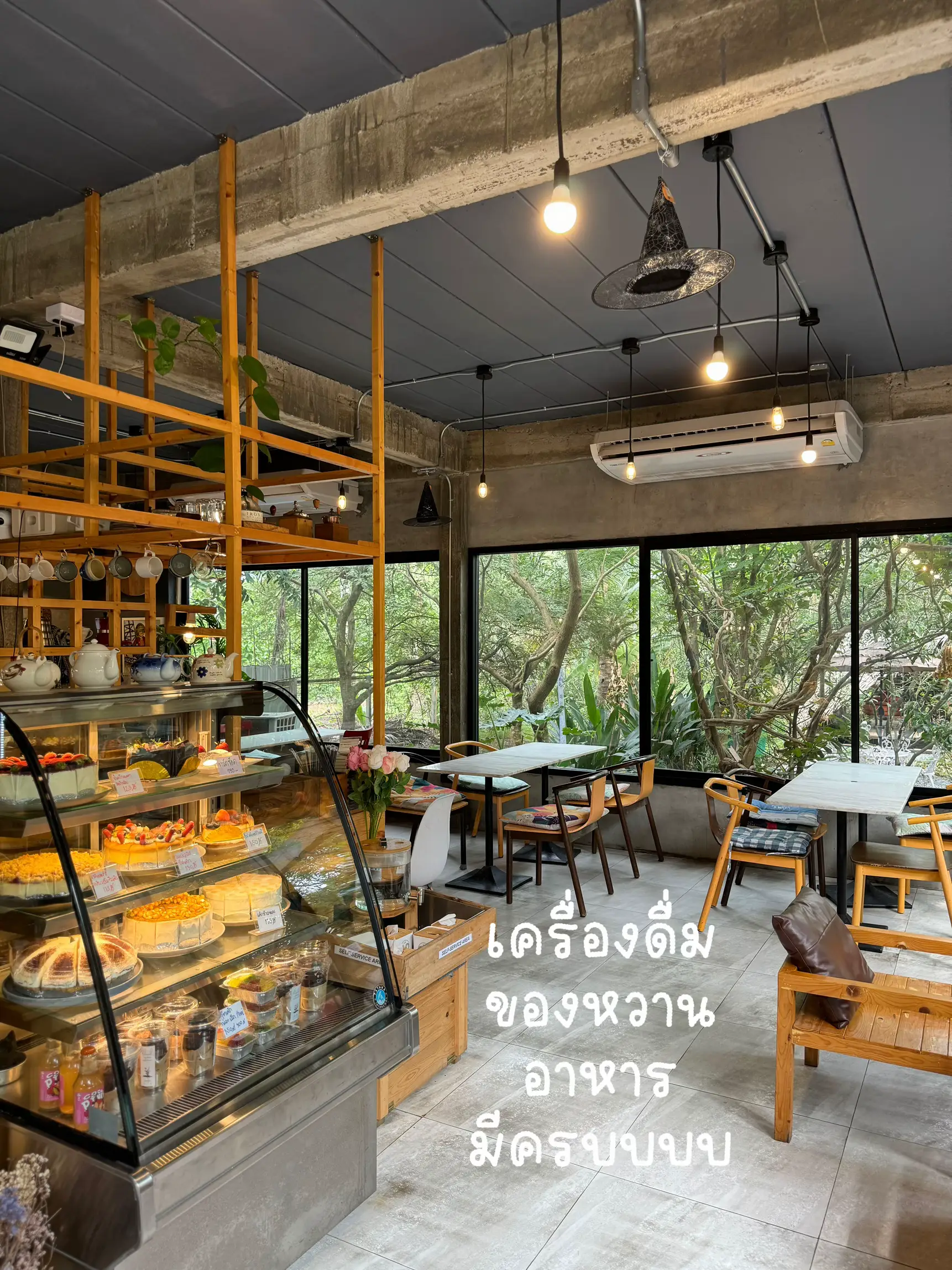 ป่าก์ คาเฟ่ นนทบุรี | แกลเลอรีที่โพสต์โดย Pa Pla | Lemon8