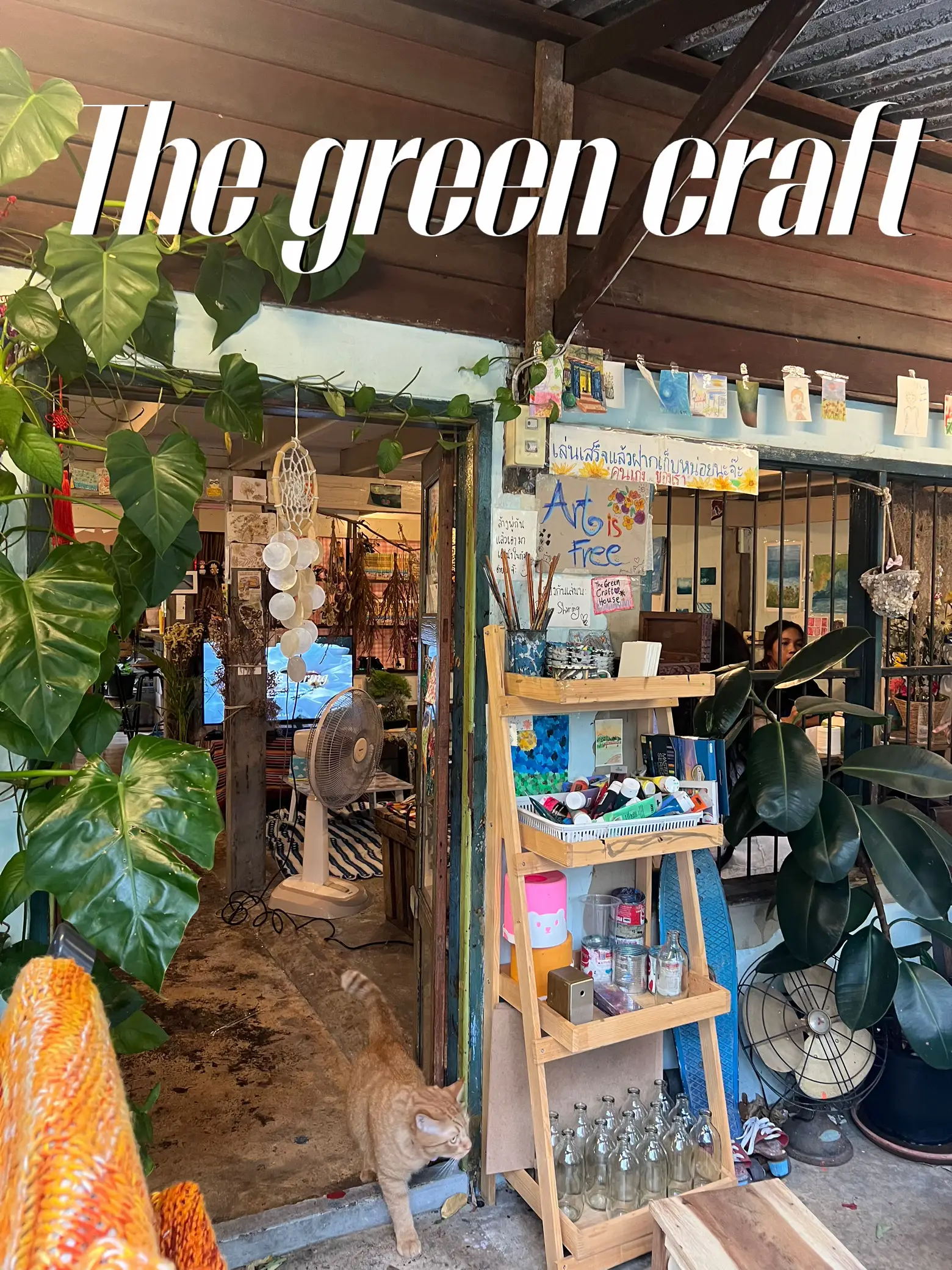 The green craft house cafe BTS วงเวียนใหญ่ | แกลเลอรีที่โพสต์โดย ...