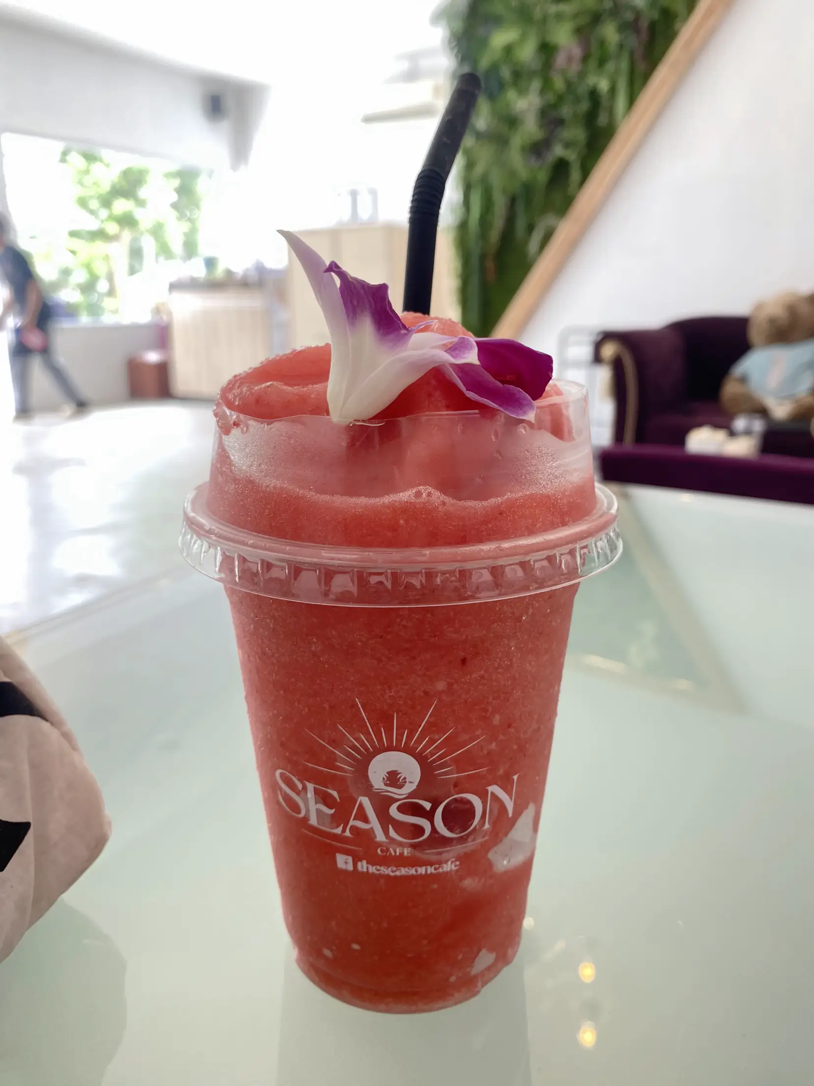 Season Cafe Chumphon 🌊 คาเฟ่ริมทะเล บรรยากาศดีเว่อ 💖 | แกลเลอรีที่โพสต์โดย Tangmo_TM | Lemon8