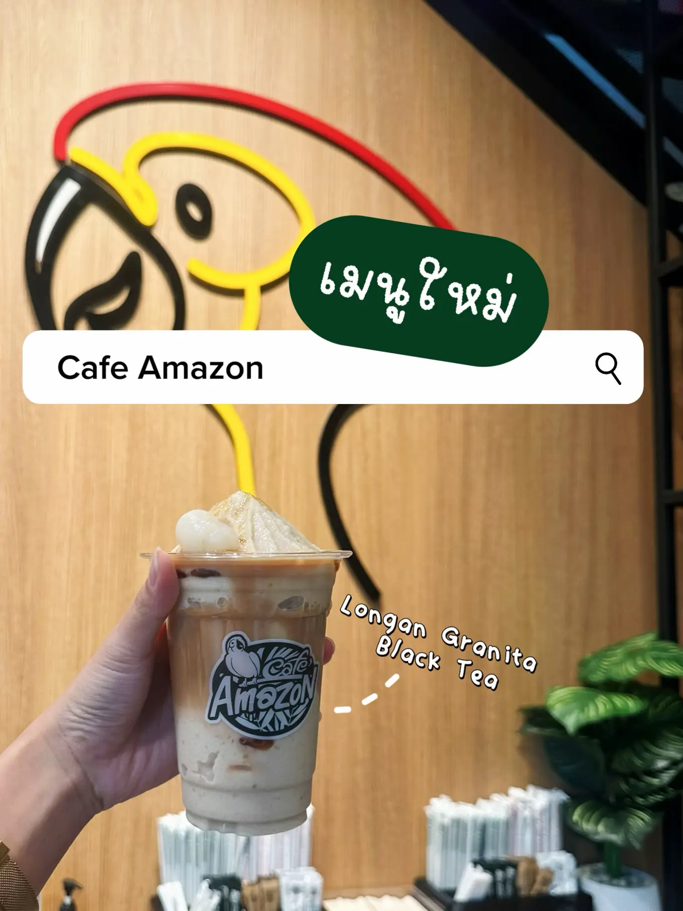 Café Amazon ออกเมนูใหม่ต้อนรับต้นปี😍🧊🍵🌱💚 | แกลเลอรีที่โพสต์โดย nnewsrp⊹ ...