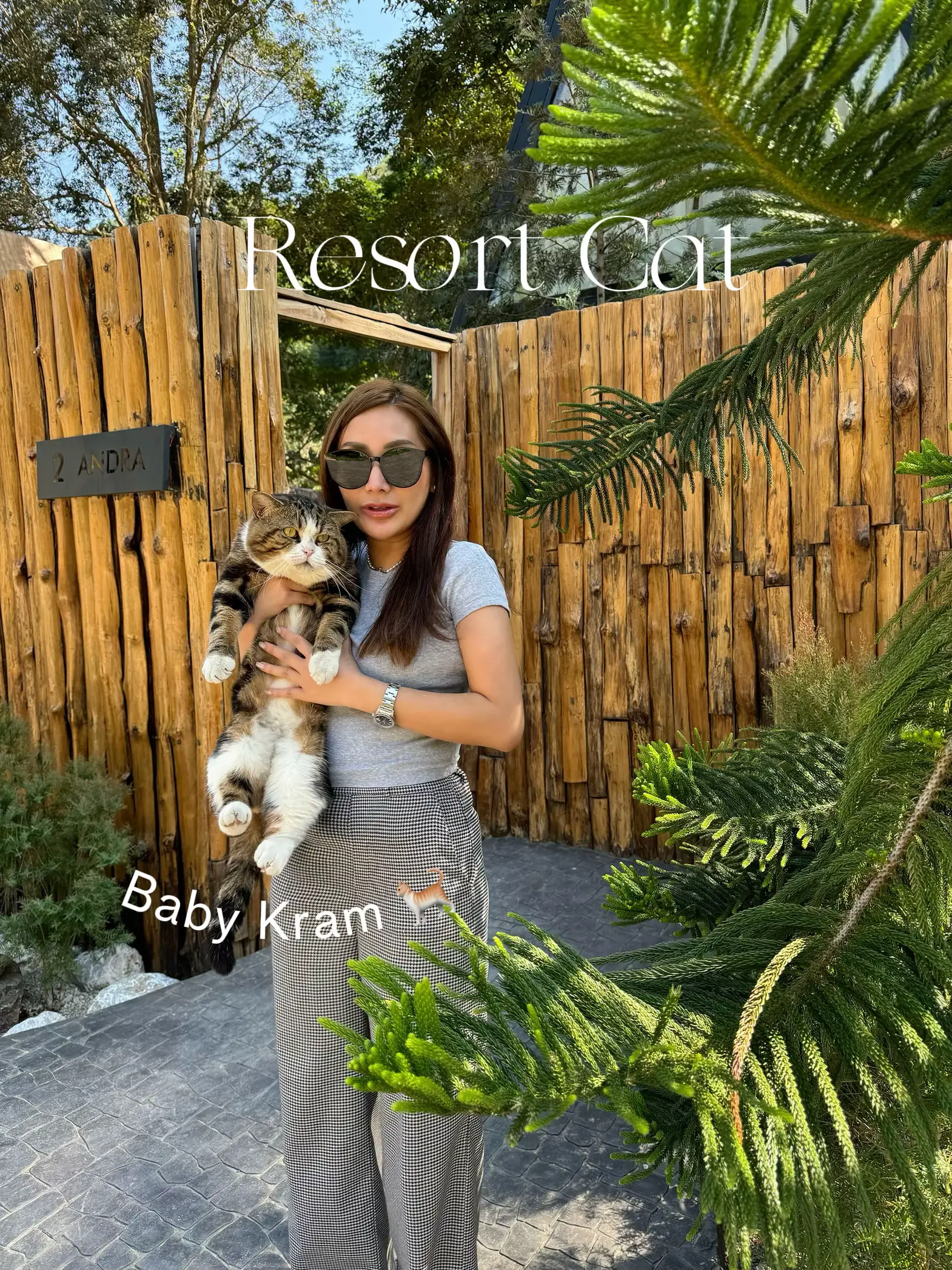 Lagom Village Resort ที่พักสไตล์ Scandinavian 🌲🎄🦌🪵 | แกลเลอรีที่โพสต์โดย RINN DIARY🐰🤍 | Lemon8