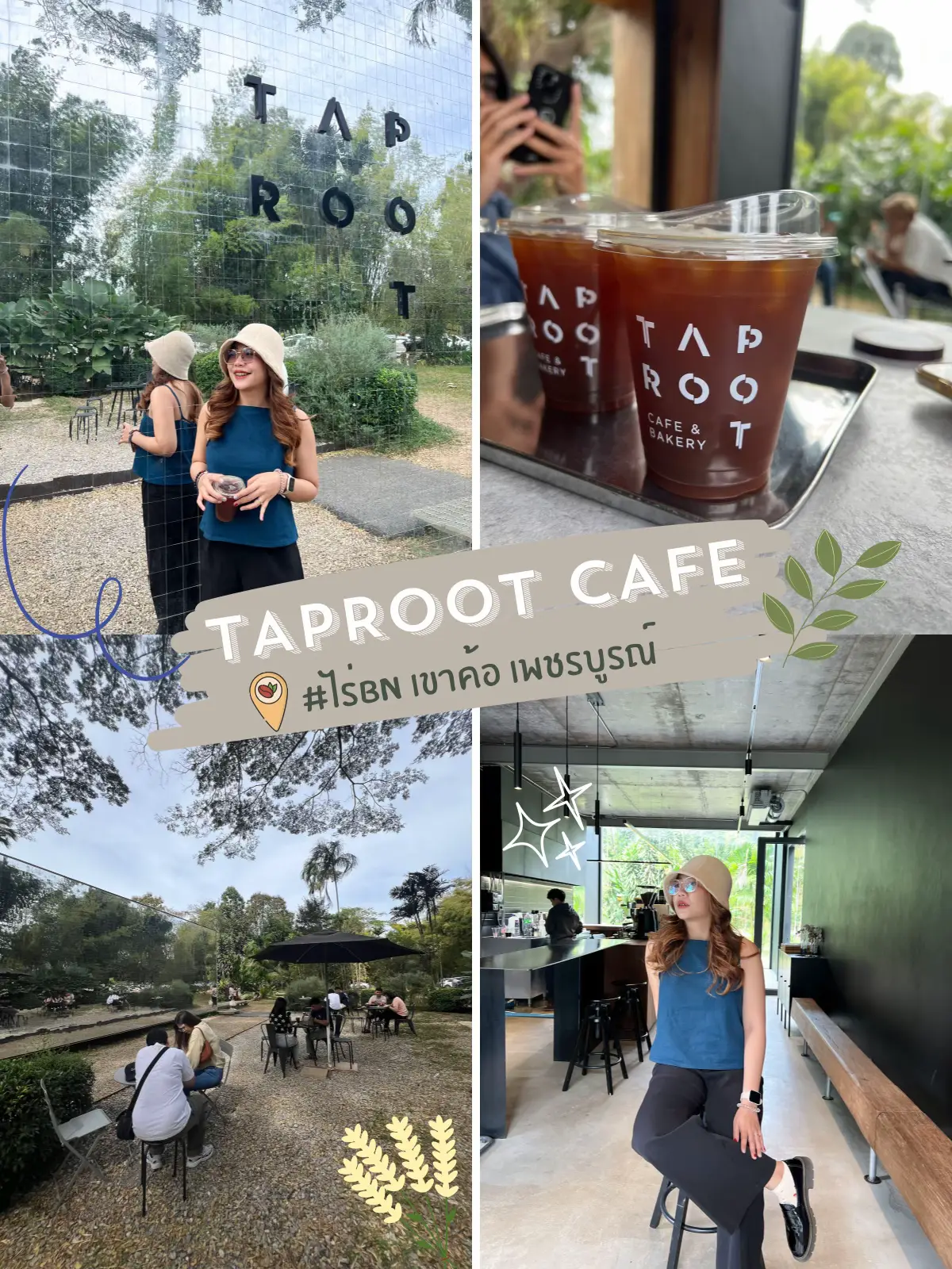 TAPROOT CAFE | ไร่ BN เขาค้อ 🌳☕️ | แกลเลอรีที่โพสต์โดย NTM | Lemon8