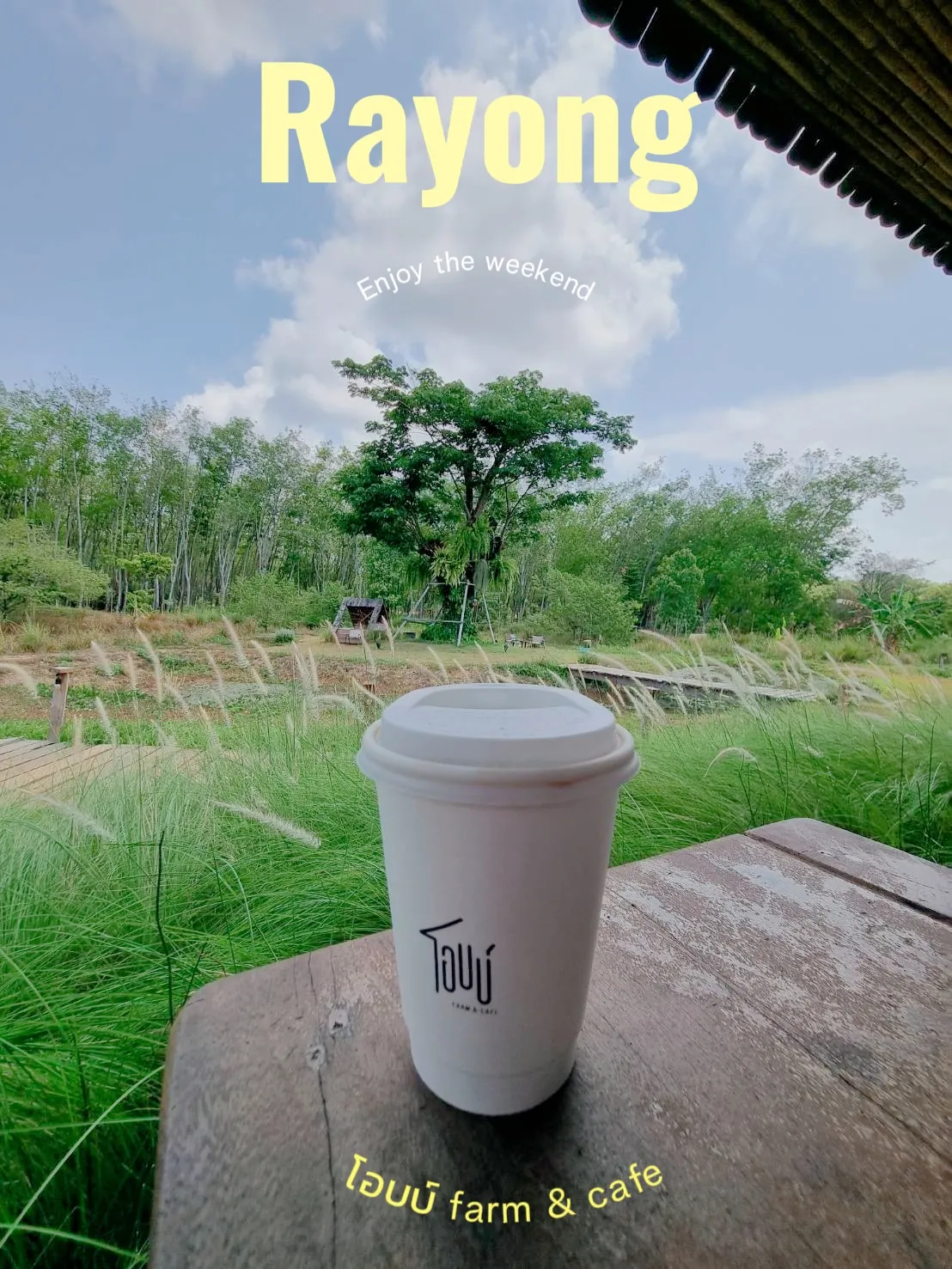 Rayong | แกลเลอรีที่โพสต์โดย 2 วัน 1 คืน | Lemon8