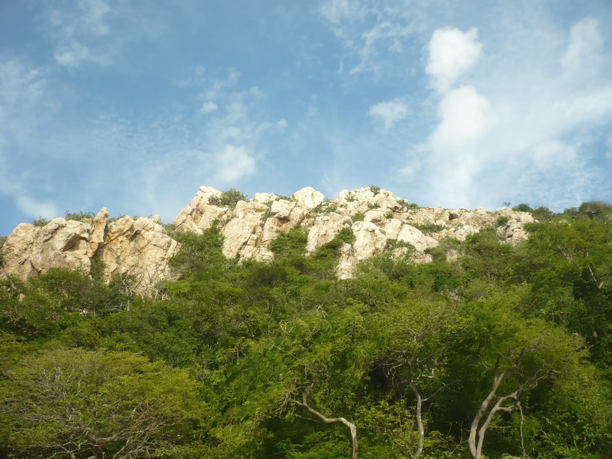 Review old digicam : LUMIX Leica DC lens | แกลเลอรีที่โพสต์โดย mantra ...