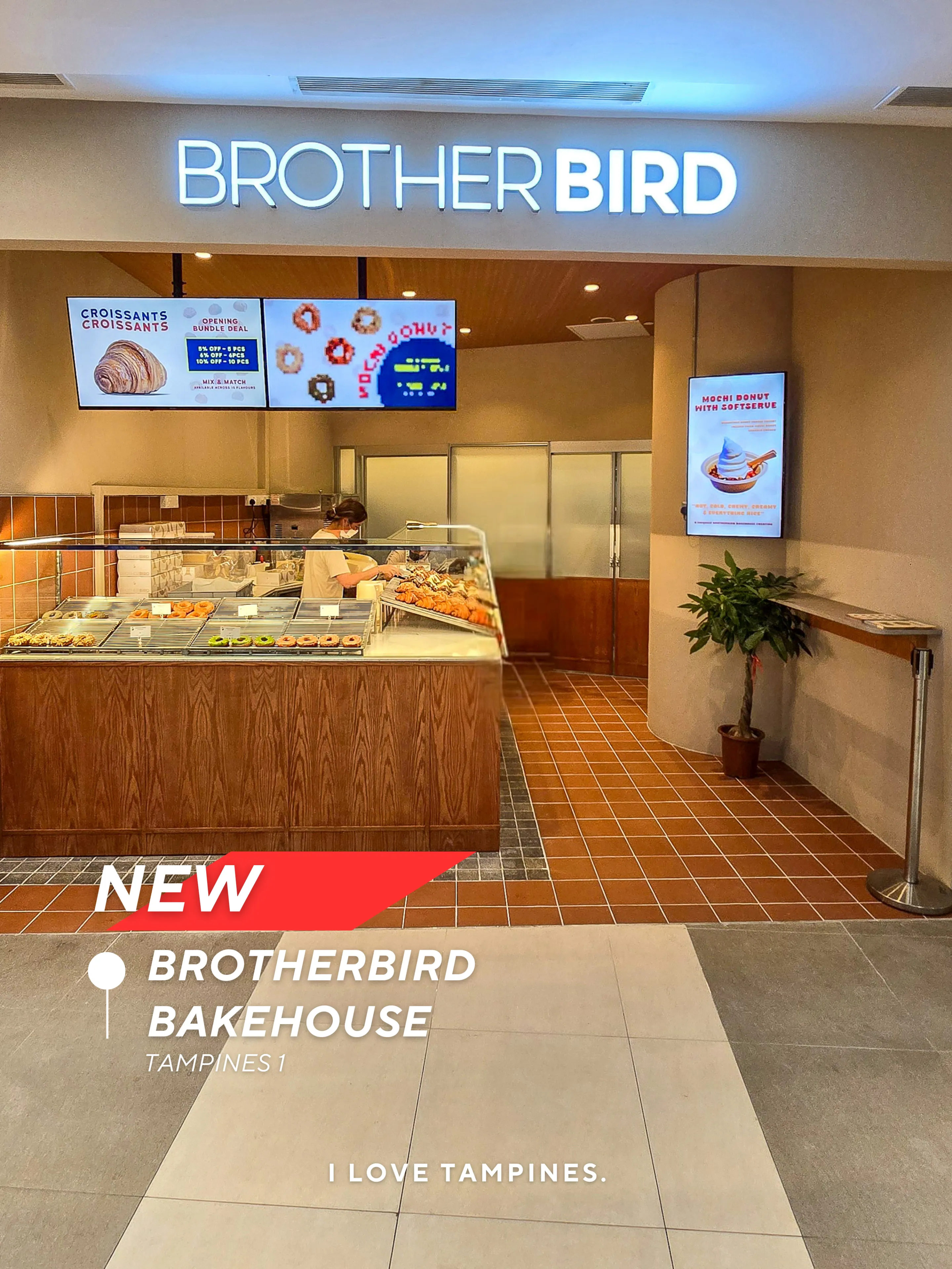 Brotherbird returns to Tampines 1! | Gallery posted by I Love Tampines ...