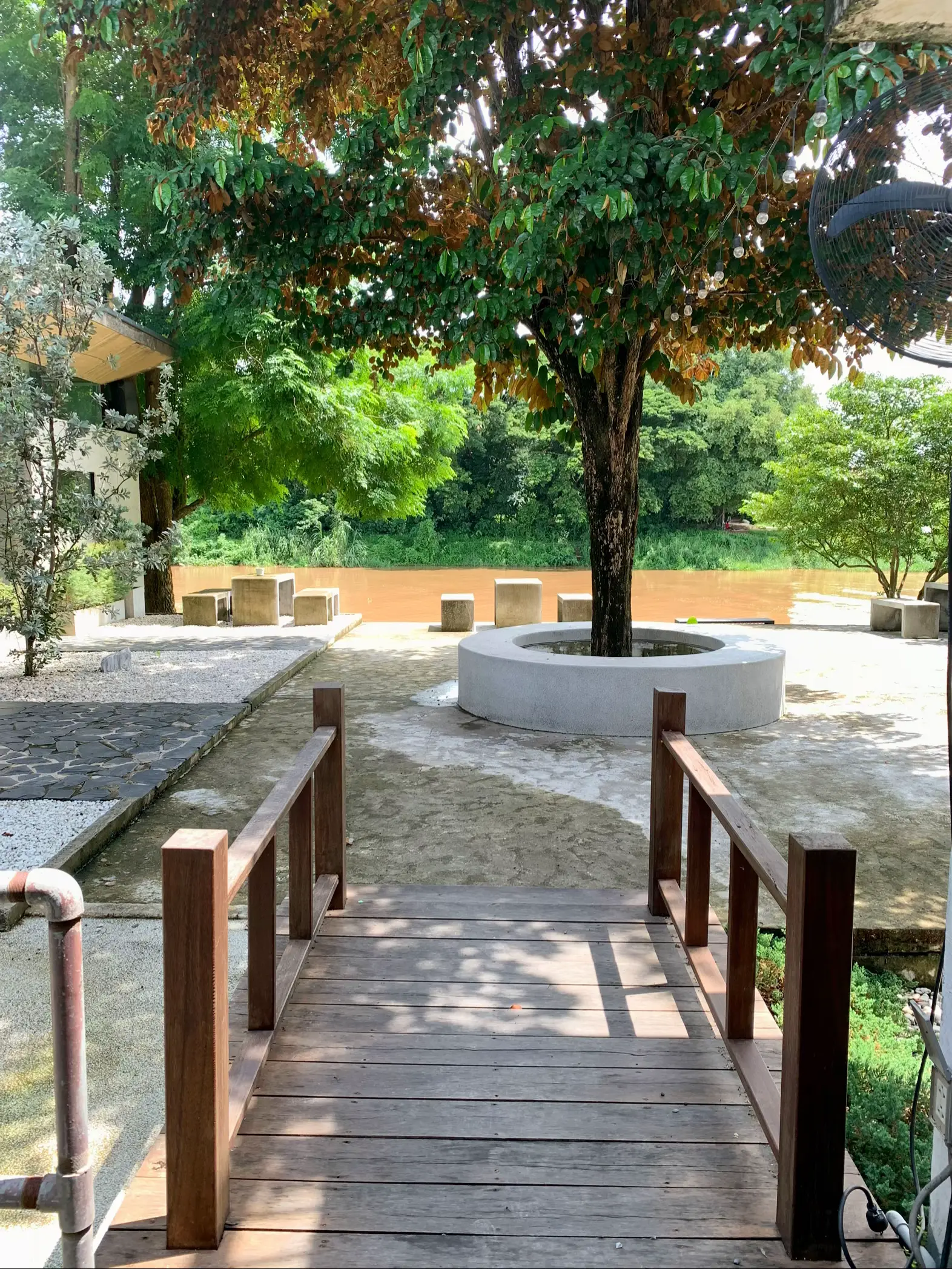 The Baristro at Ping River คาเฟ่สไตล์มินิมอลติดริมแม่น้ำปิง | แกลเลอรี ...