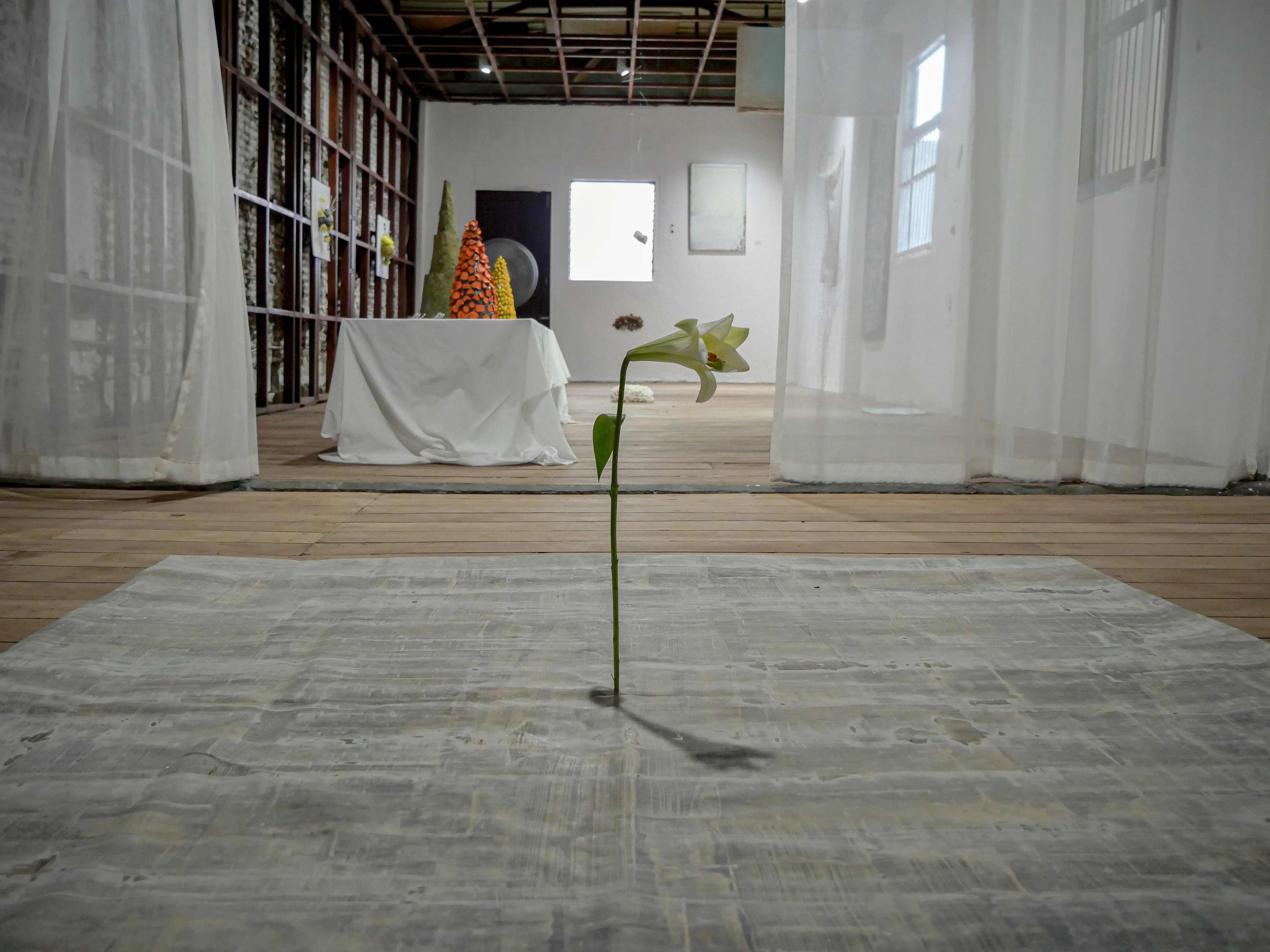 พาทัวร์งานไฮไลท์ BKKDW2024 ย่านเจริญกรุง-ทรงวาด | แกลเลอรีที่โพสต์โดย Insomnia Scene | Lemon8