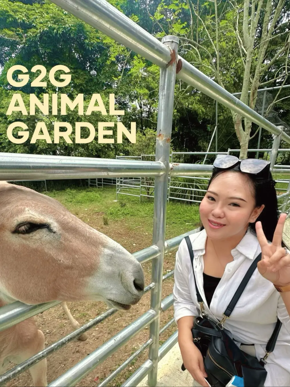 G2G ANIMAL GARDEN | วิดีโอที่เผยแพร่โดย seraa | Lemon8