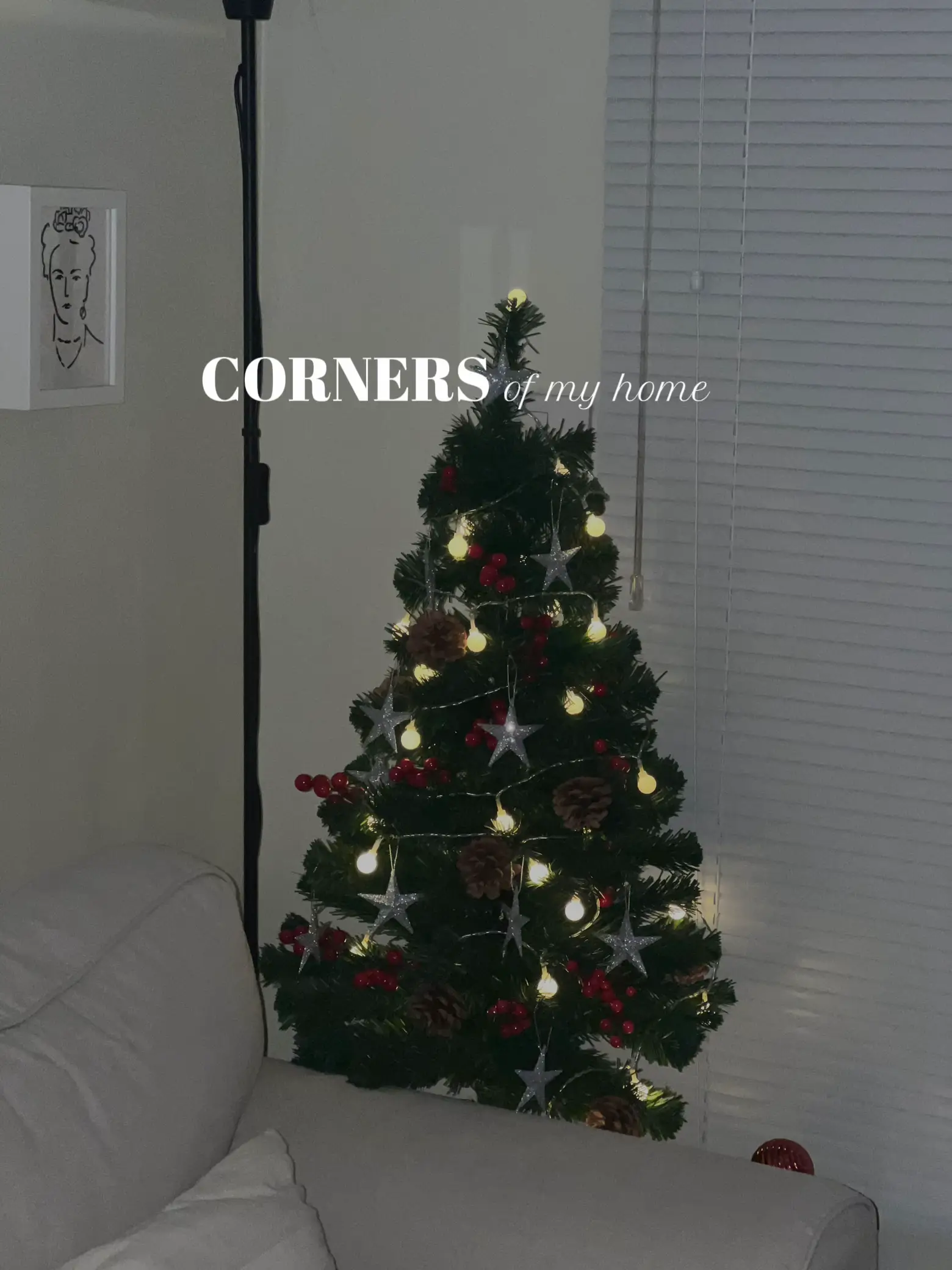 CORNERS OF CHRISTMAS 🎄🌲 | แกลเลอรีที่โพสต์โดย 7% low energy | Lemon8
