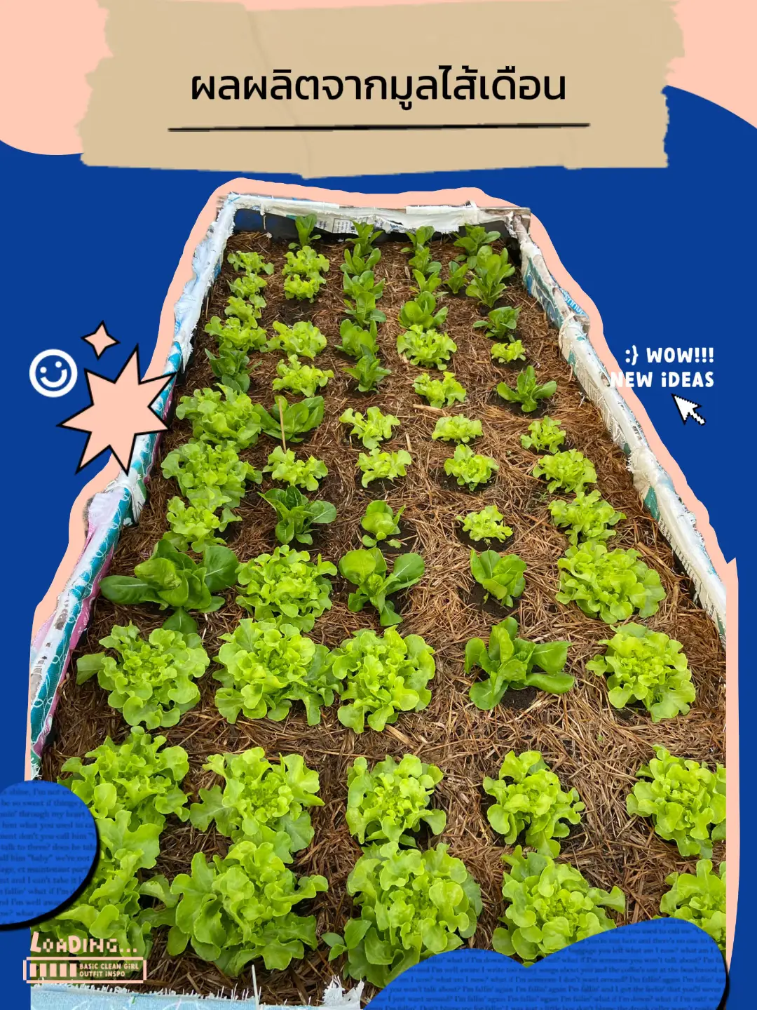 ผลผลิตจากมูลไส้เดือน | แกลเลอรีที่โพสต์โดย Backyard farm | Lemon8