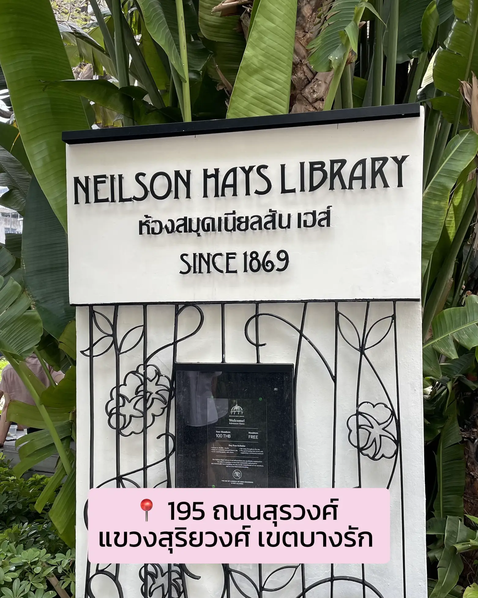 Neilson Hays Library | ห้องสมุดพักใจ 📚 | แกลเลอรีที่โพสต์โดย heart ...
