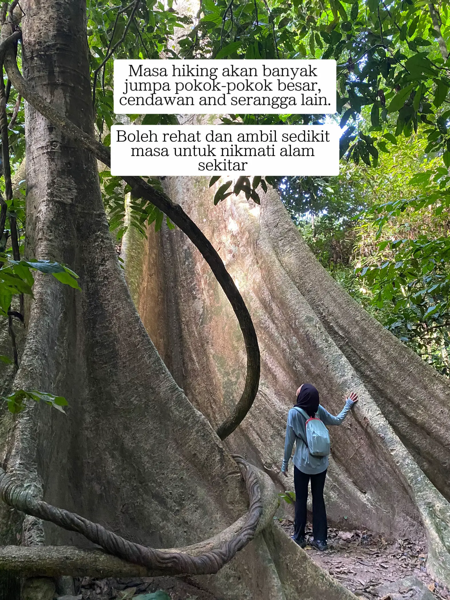 Gunung Datuk Preparation | Hiking | Galeri disiarkan oleh ...