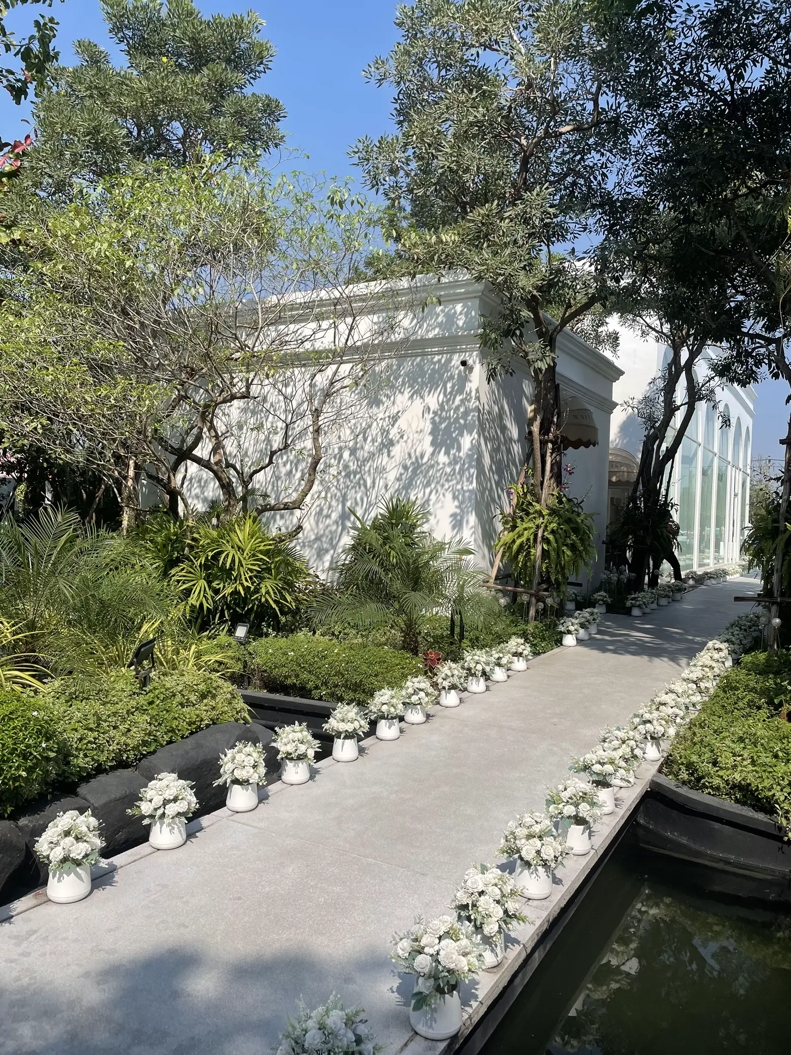 WhiteLine Cafe&Restaurant 📍คาเฟ่ใหม่ย่านพุทธมณฑล | แกลเลอรีที่โพสต์โดย ...