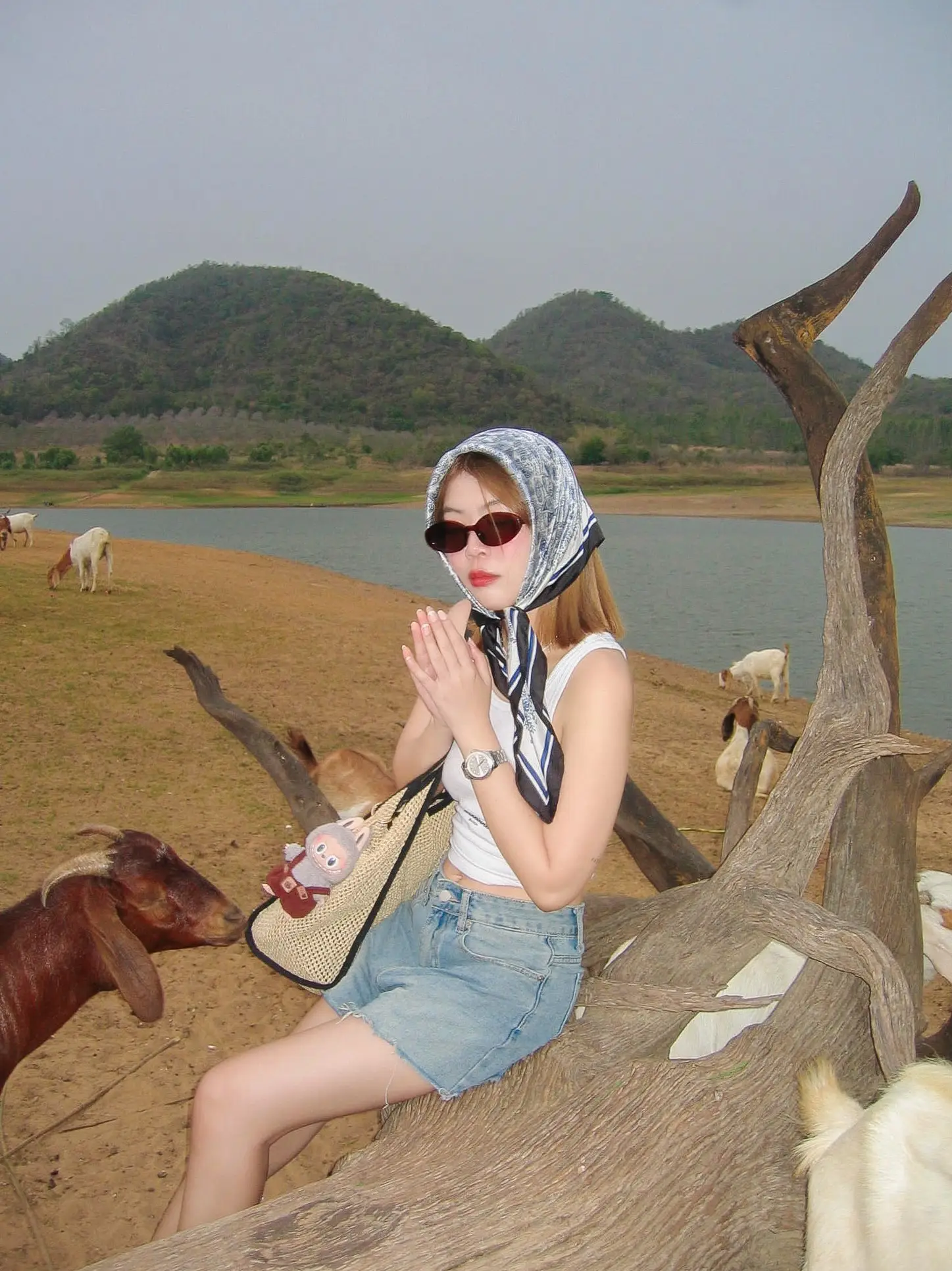 ฟาร์มแพะที่เขื่อนปราณบุรี🐐🌾 | แกลเลอรีที่โพสต์โดย SuperCat | Lemon8