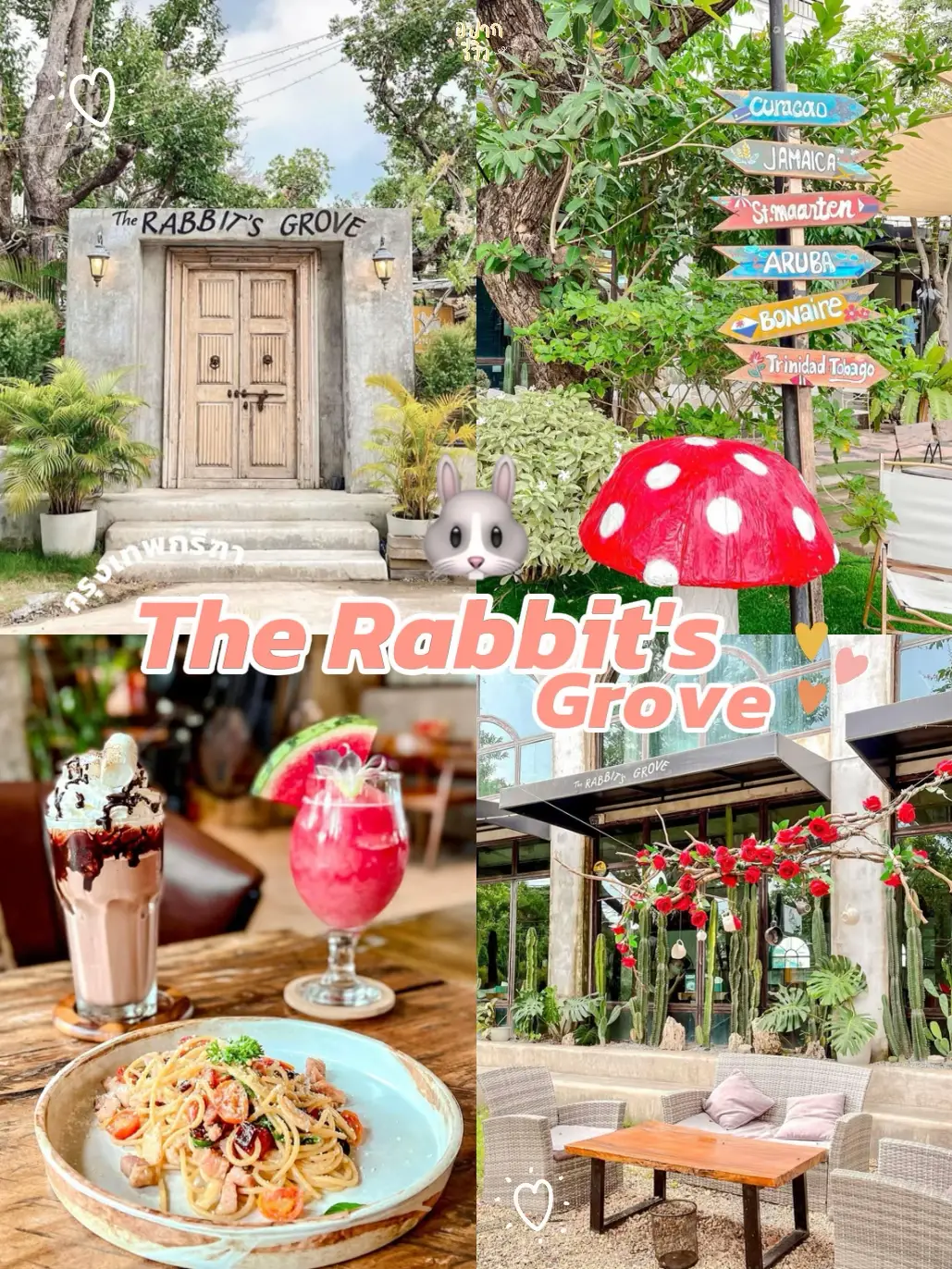 🐰🍝 𝐓𝐡𝐞 𝐑𝐚𝐛𝐛𝐢𝐭'𝐬 𝐆𝐫𝐨𝐯𝐞 🍹🐰#กรุงเทพกรีฑา | แกลเลอรีที่โพสต์โดย อยากรีวิว ...