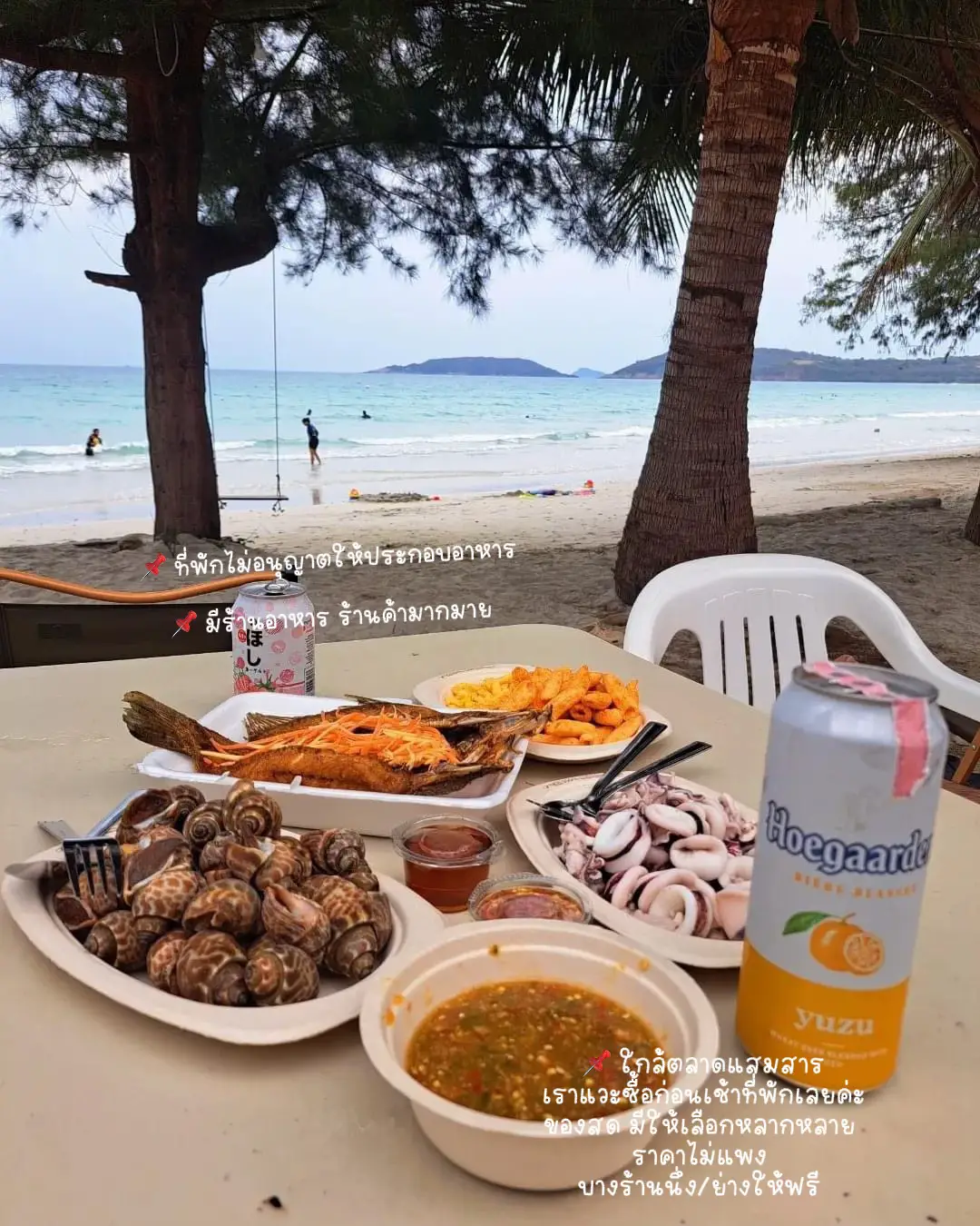 ฮีลใจที่หาดน้ำใส 🏝💗 อ สัตหีบ จ ชลบุรี แกลเลอรีที่โพสต์โดย Dream Lemon8