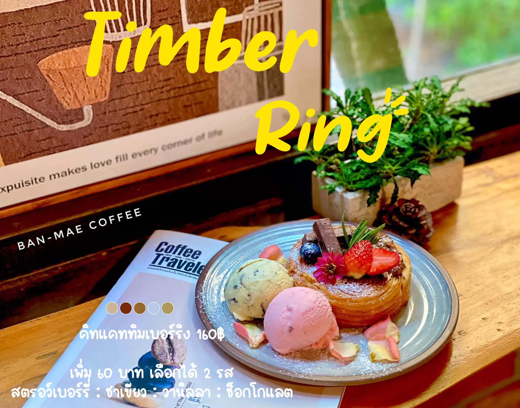 timber construction - การค้นหาใน Lemon8