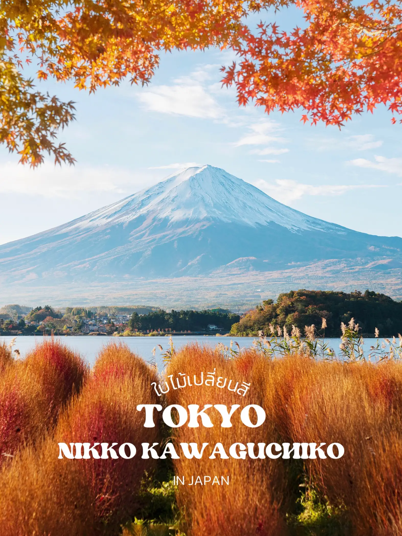 Japan Travel Plan Giveaway 🇯🇵 Tokyo Color Changing Leaf 🍁 Nikko Kawaguchiko | Gallery posted by ...
