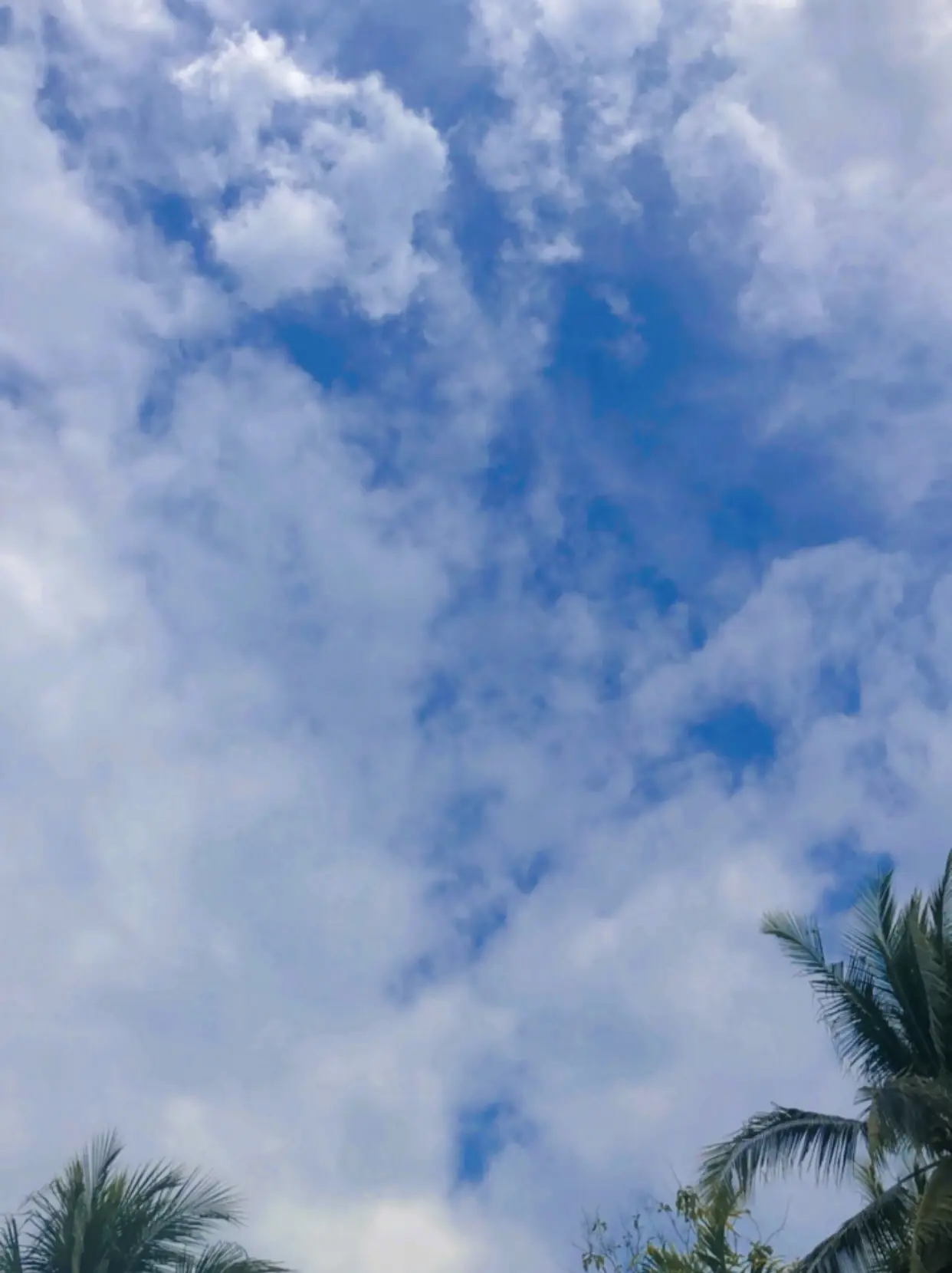 รูปท้องฟ้าใช้gifยังไงดี - การค้นหาใน Lemon8