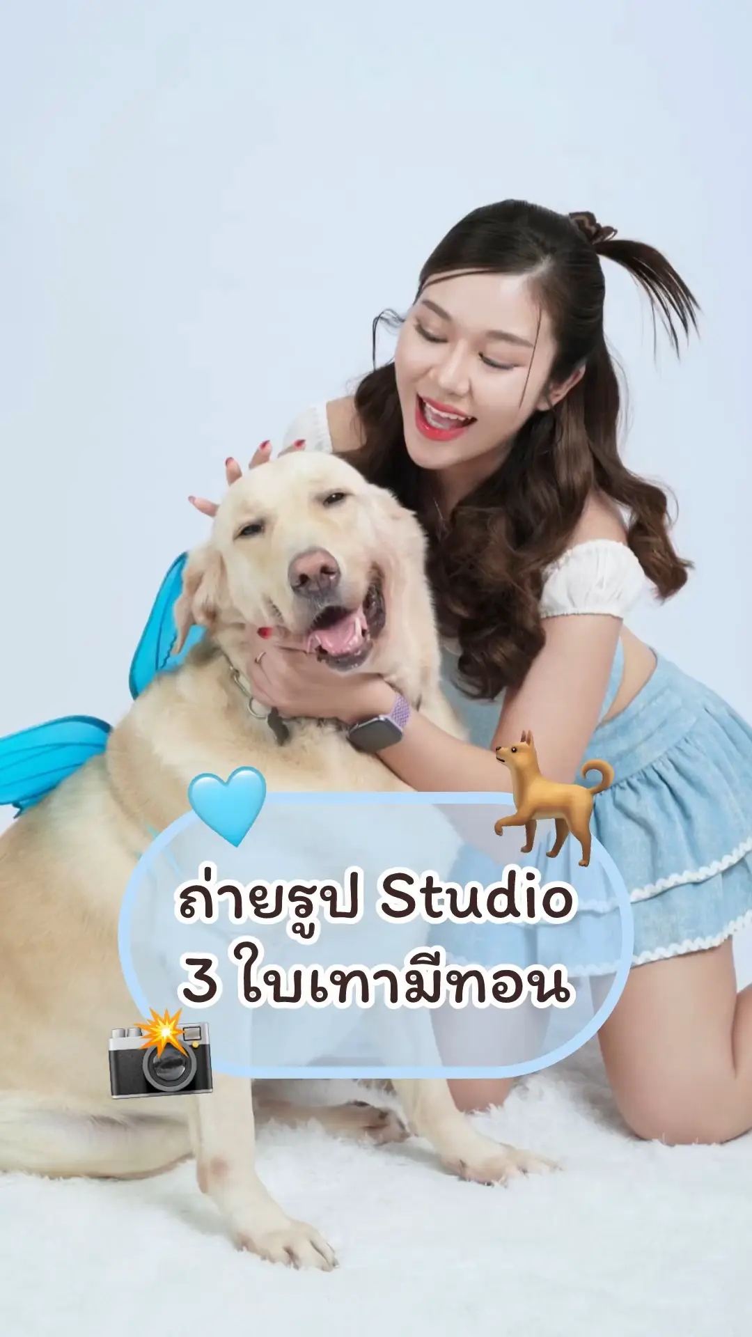 🦮ถ่ายรูปสตูดิโอกับสัตว์เลี้ยง ไปแต่ตัวกับหน้าสด📸 | วิดีโอที่เผยแพร่โดย Panglpp | Lemon8
