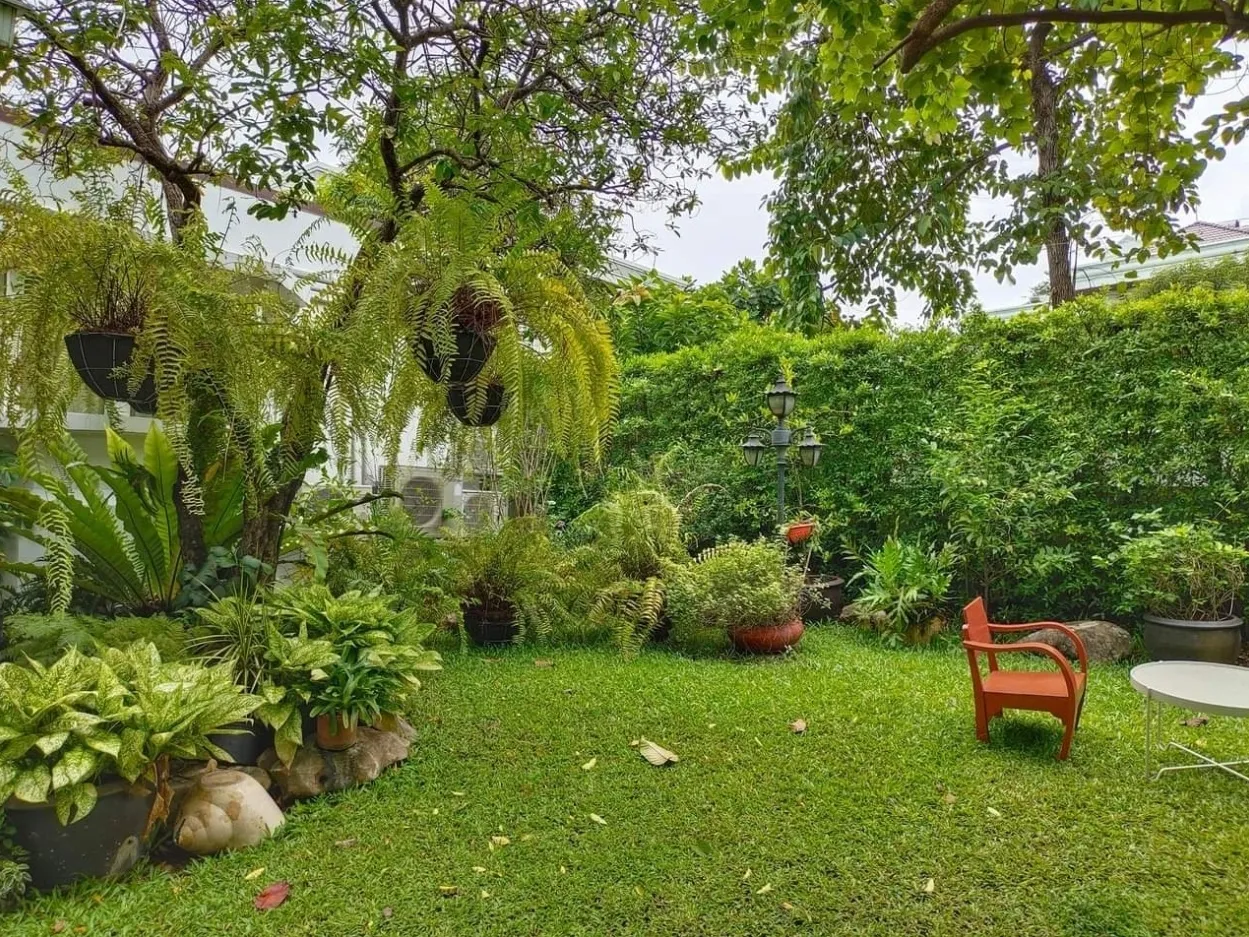 Seven Rabbit Coffee and Tea คาเฟ่ในสวน ย่านสวนหลวง | แกลเลอรีที่โพสต์ ...