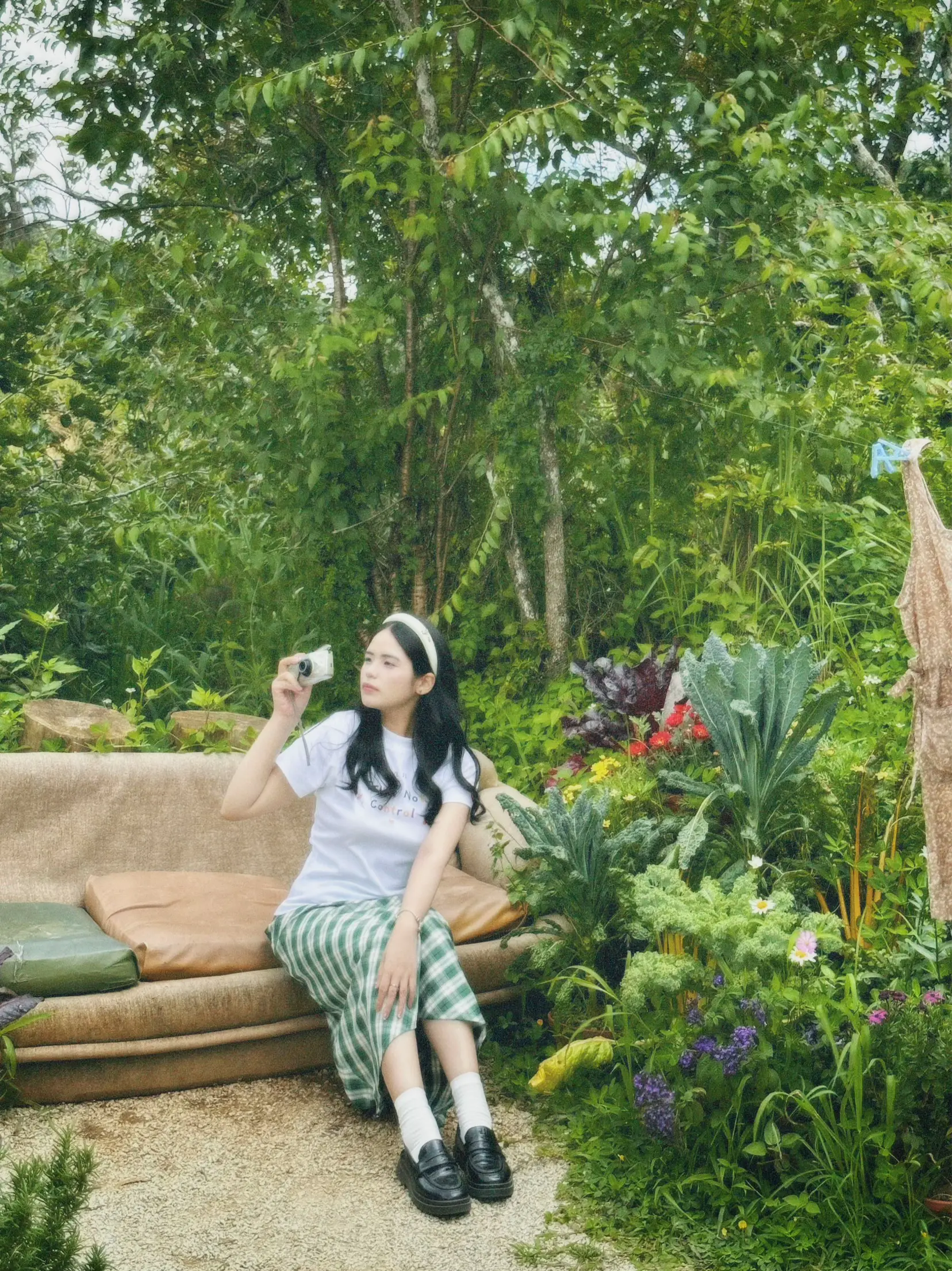 Cây 🍊ngọt của tôi | Bộ sưu tập do Ginger đăng | Lemon8