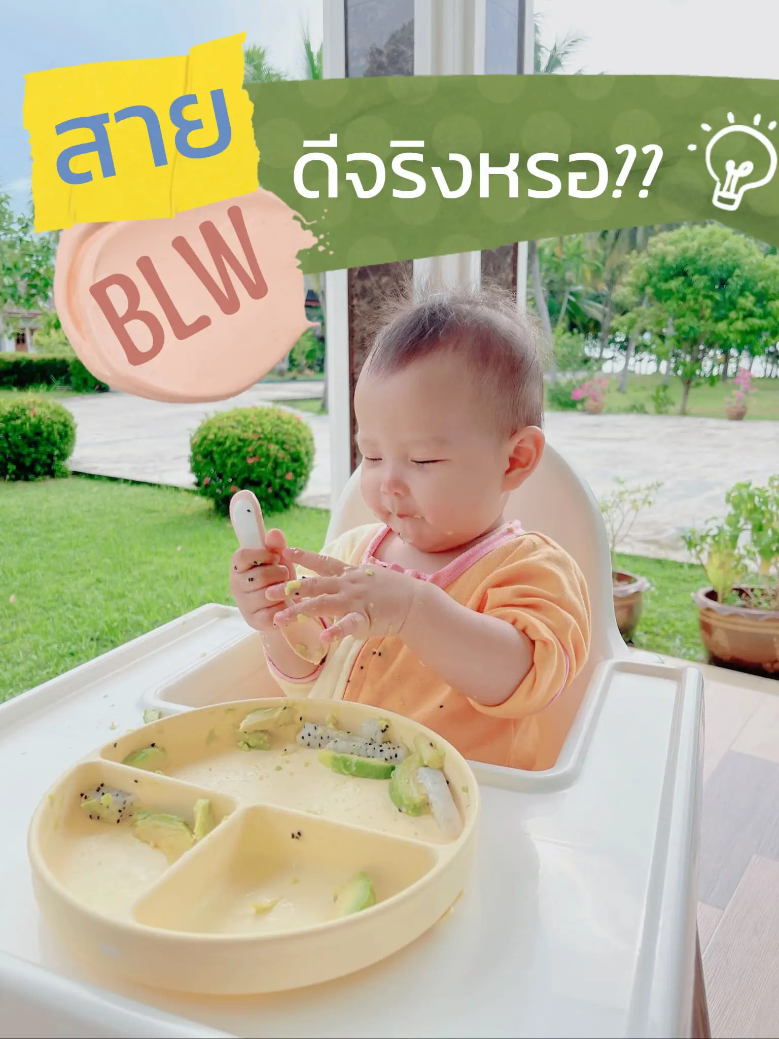 ให้ลูกกินแบบ BLWคืออะไร? และมันจะดีจริงหรอ? 🍽️👶🏻 | แกลเลอรีที่โพสต์โดย Mommy unun | Lemon8