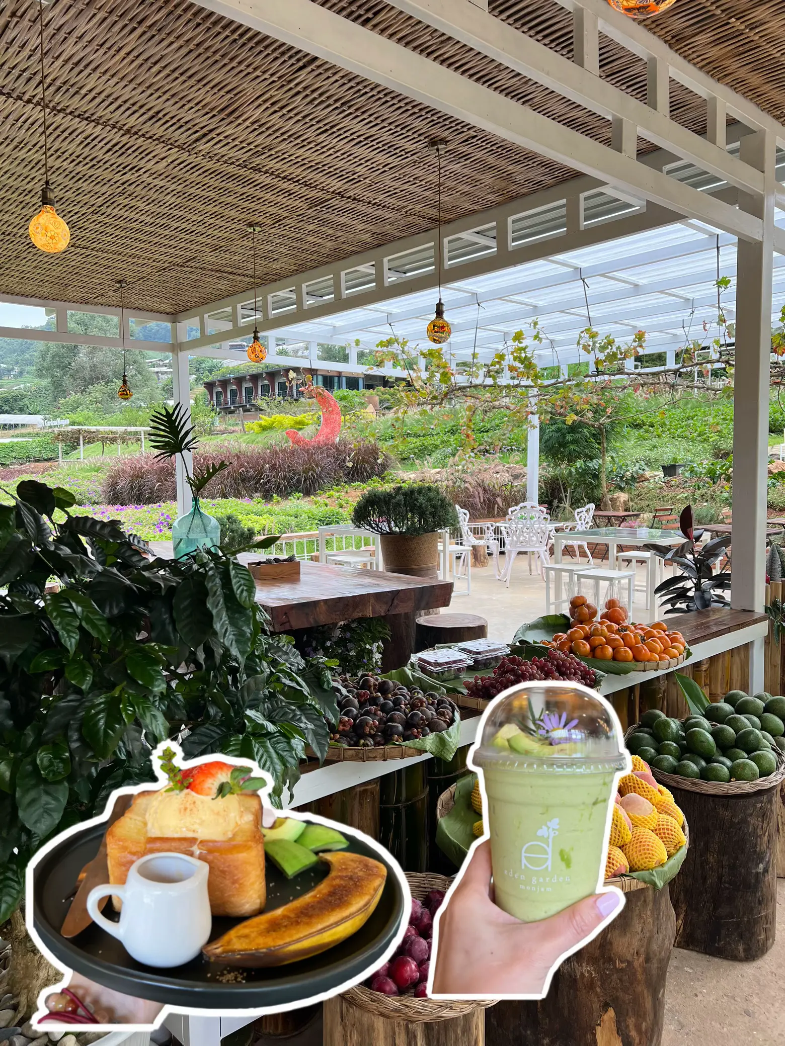 Mon Jam TRAVEL Guide 🇹🇭 | Gallery posted by michelle🫐 | Lemon8