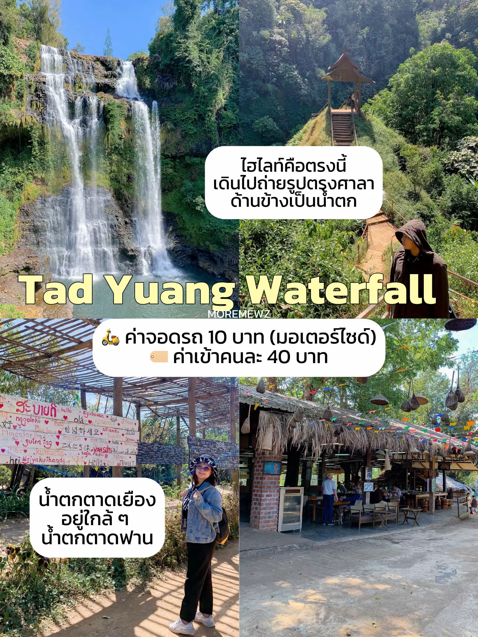 ลาวใต้ ไปเล่นซิปไลน์ที่น้ำตกตาดฟาน 🧗🏻‍♀️💦 Ep.2 | แกลเลอรีที่โพสต์โดย ...