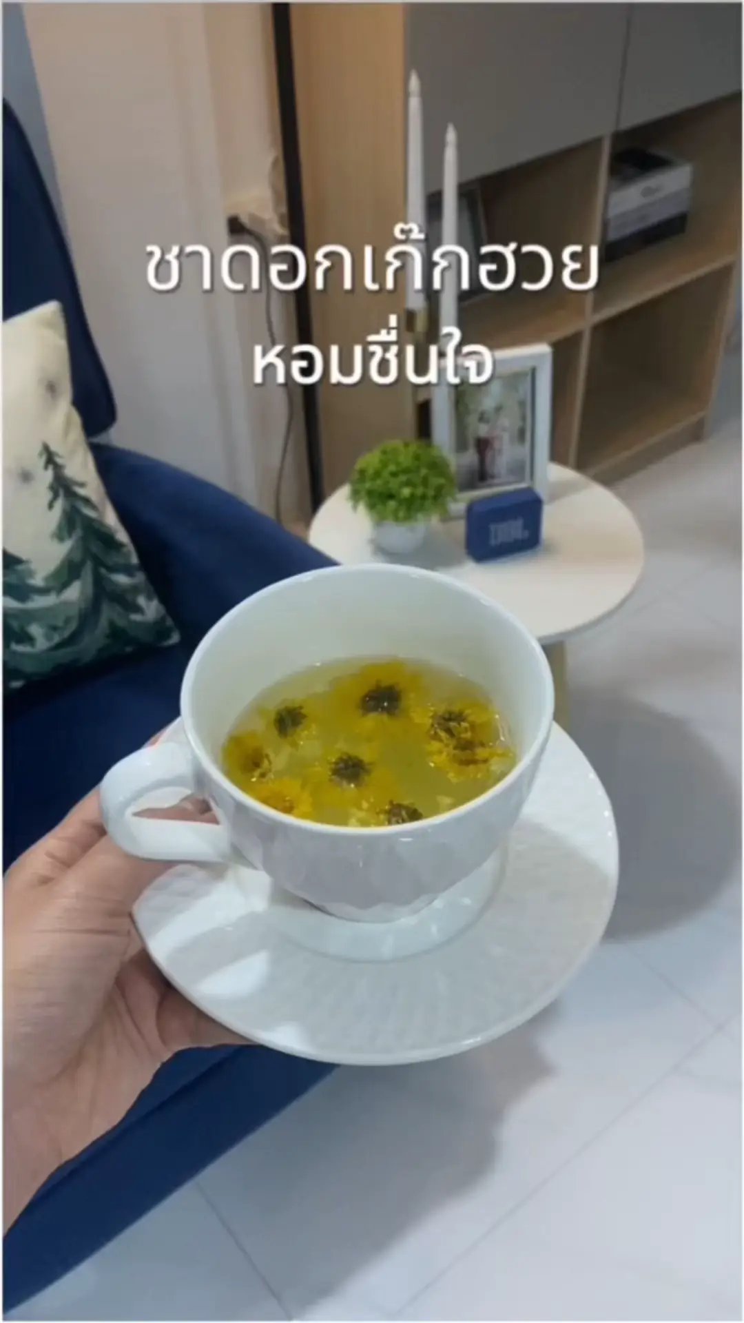 ชาเก๊กฮวย 🌼🍃 | วิดีโอที่เผยแพร่โดย SUWI | Lemon8