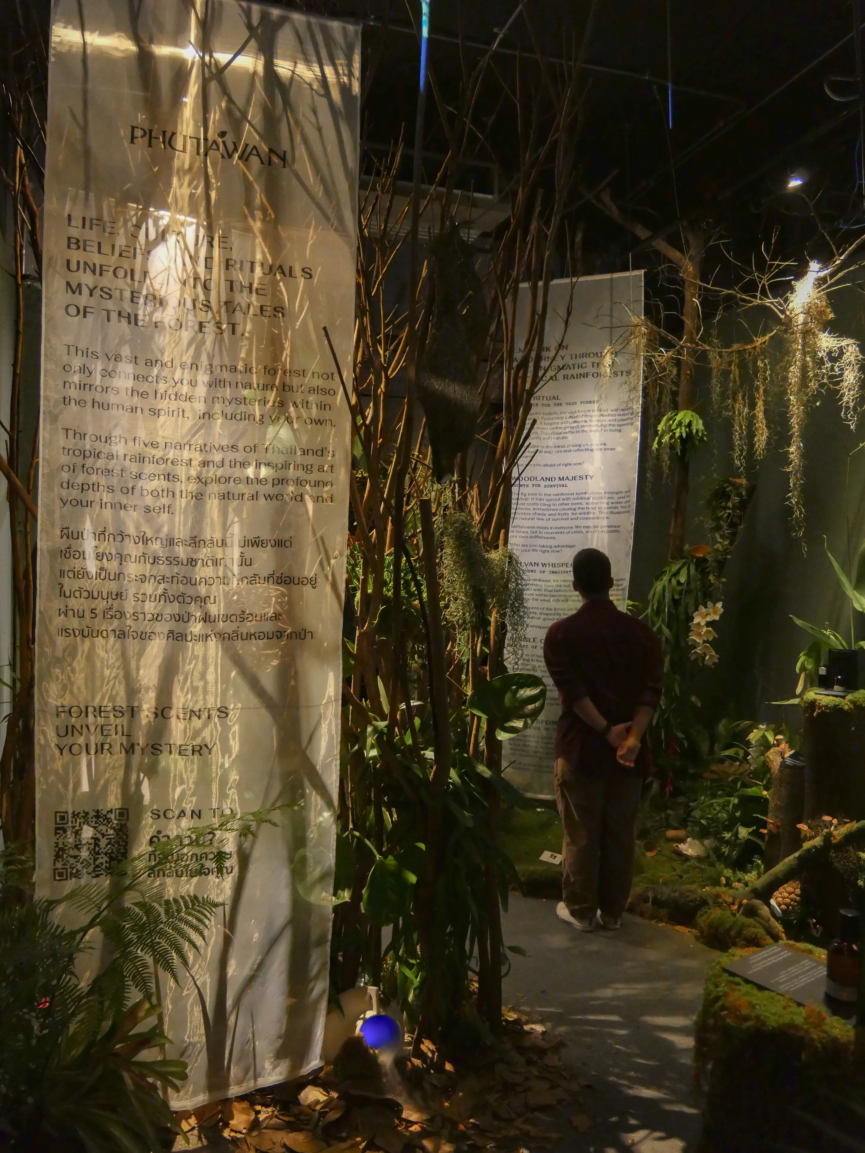 Forest Scent - Unveil Your Mystery ป่า และ น้ำหอม | แกลเลอรีที่โพสต์โดย ...