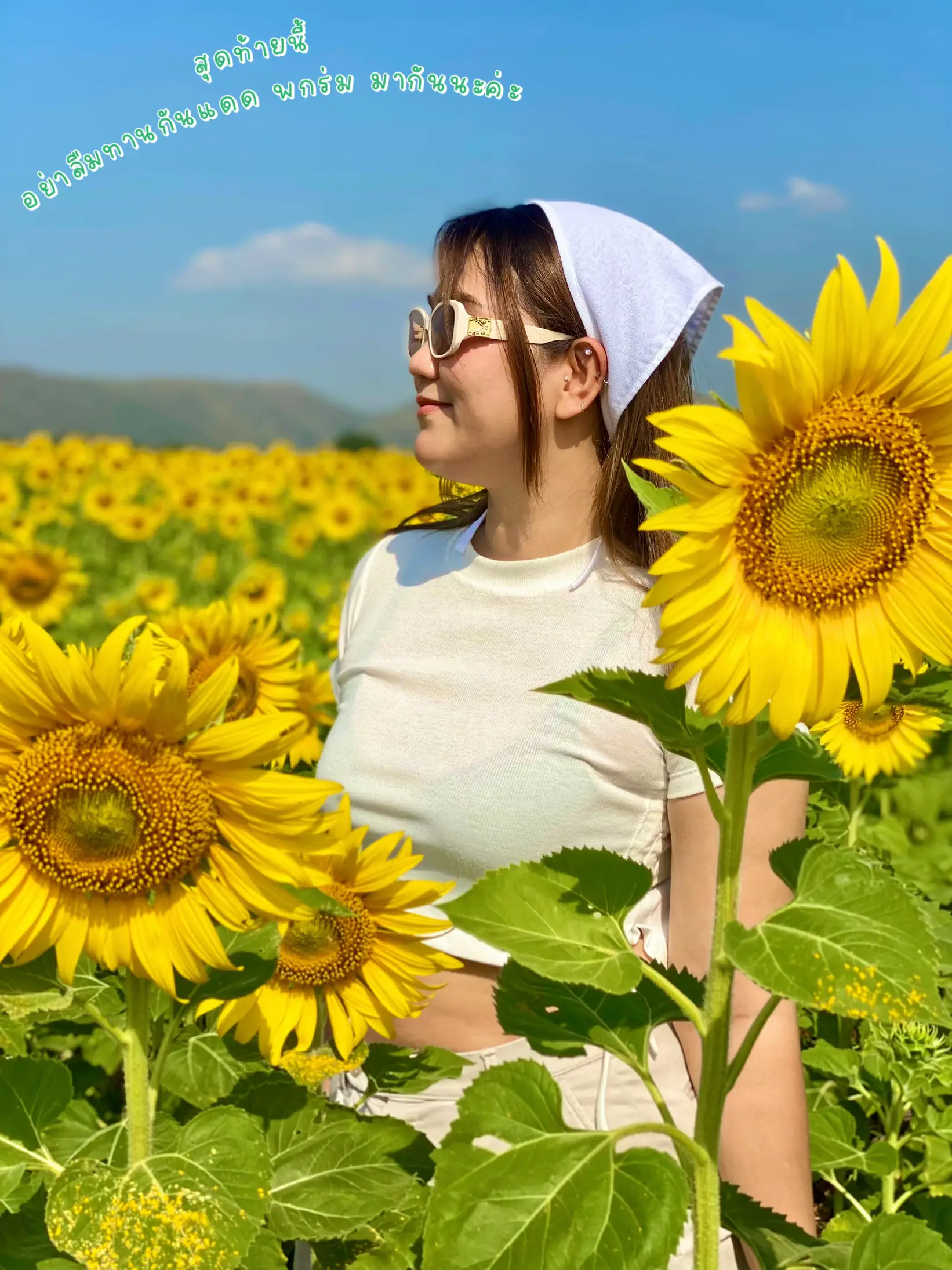 วันหยุดของฉัน กับ ทุ่งทานตะวันไร่วิชาญ ลพบุรี | แกลเลอรีที่โพสต์โดย 𝓟𝓲𝓹𝓮 ˘͈ᵕ˘͈ | Lemon8