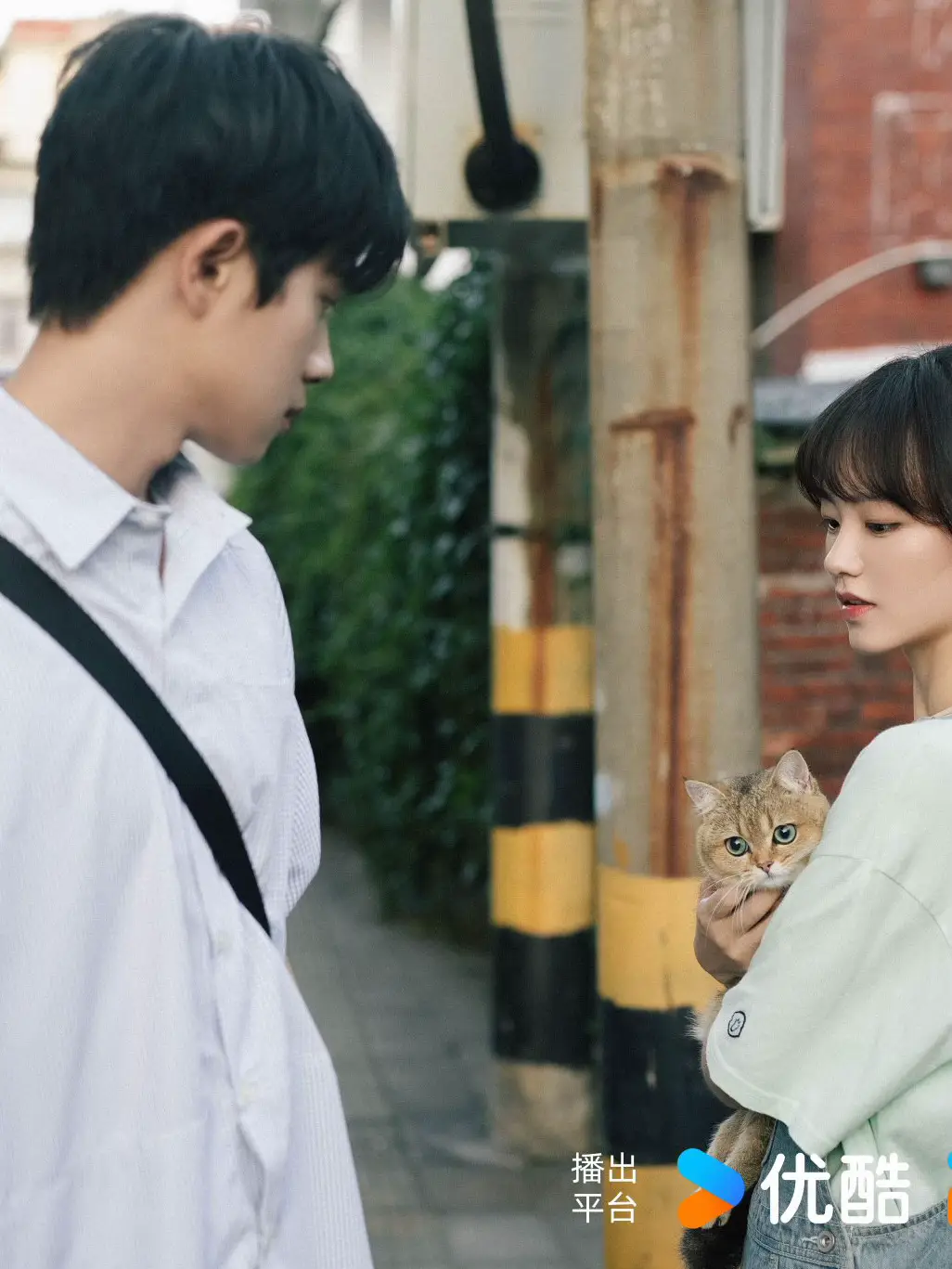 รีวิวเรื่อง วันนั้นที่เราได้พบกัน (The best day of my life) | แกลเลอรี ...