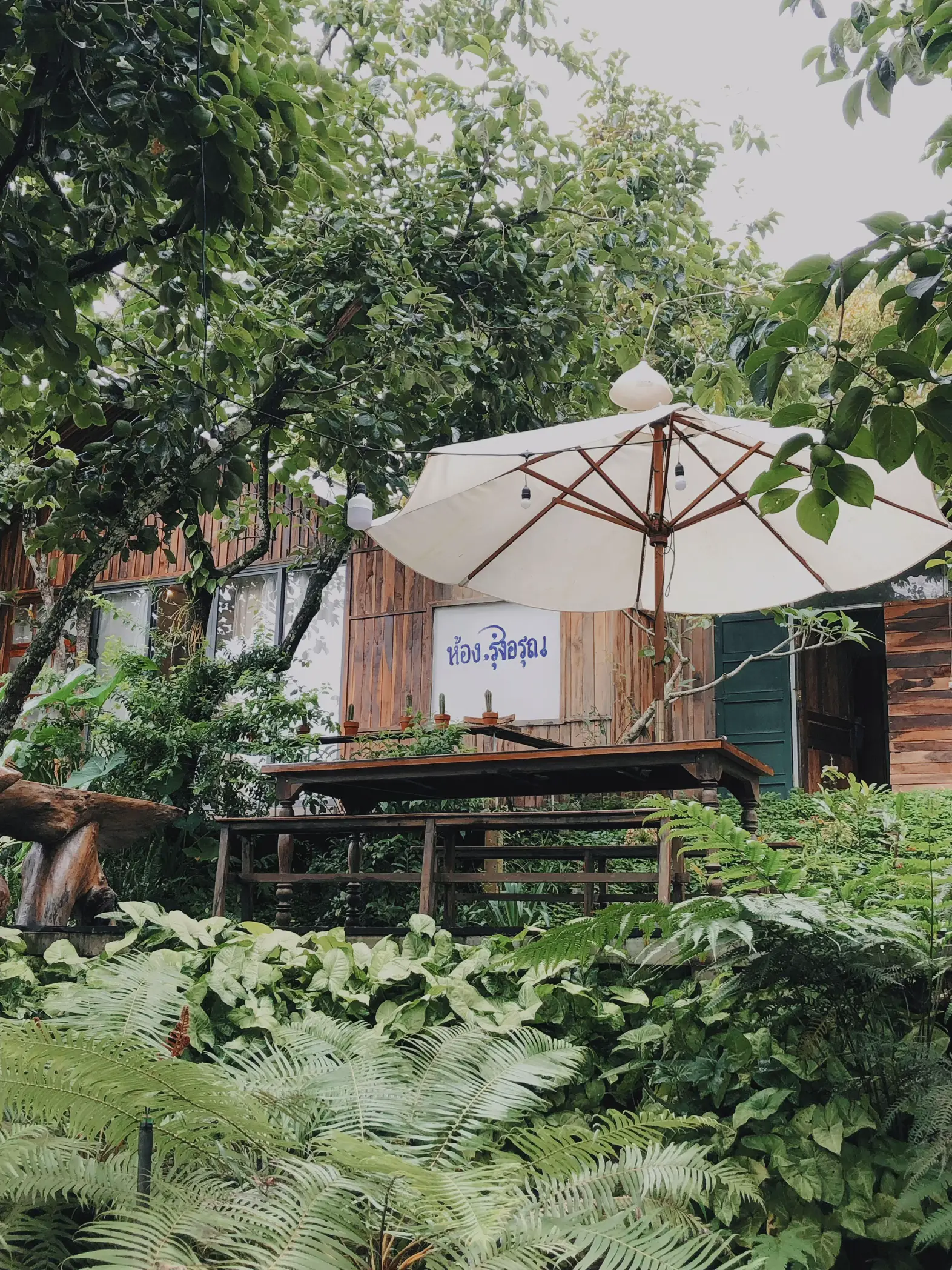 RỪNG NHIỆT ĐỚI | DALAT | Bộ sưu tập do Nga La Cà đăng | Lemon8