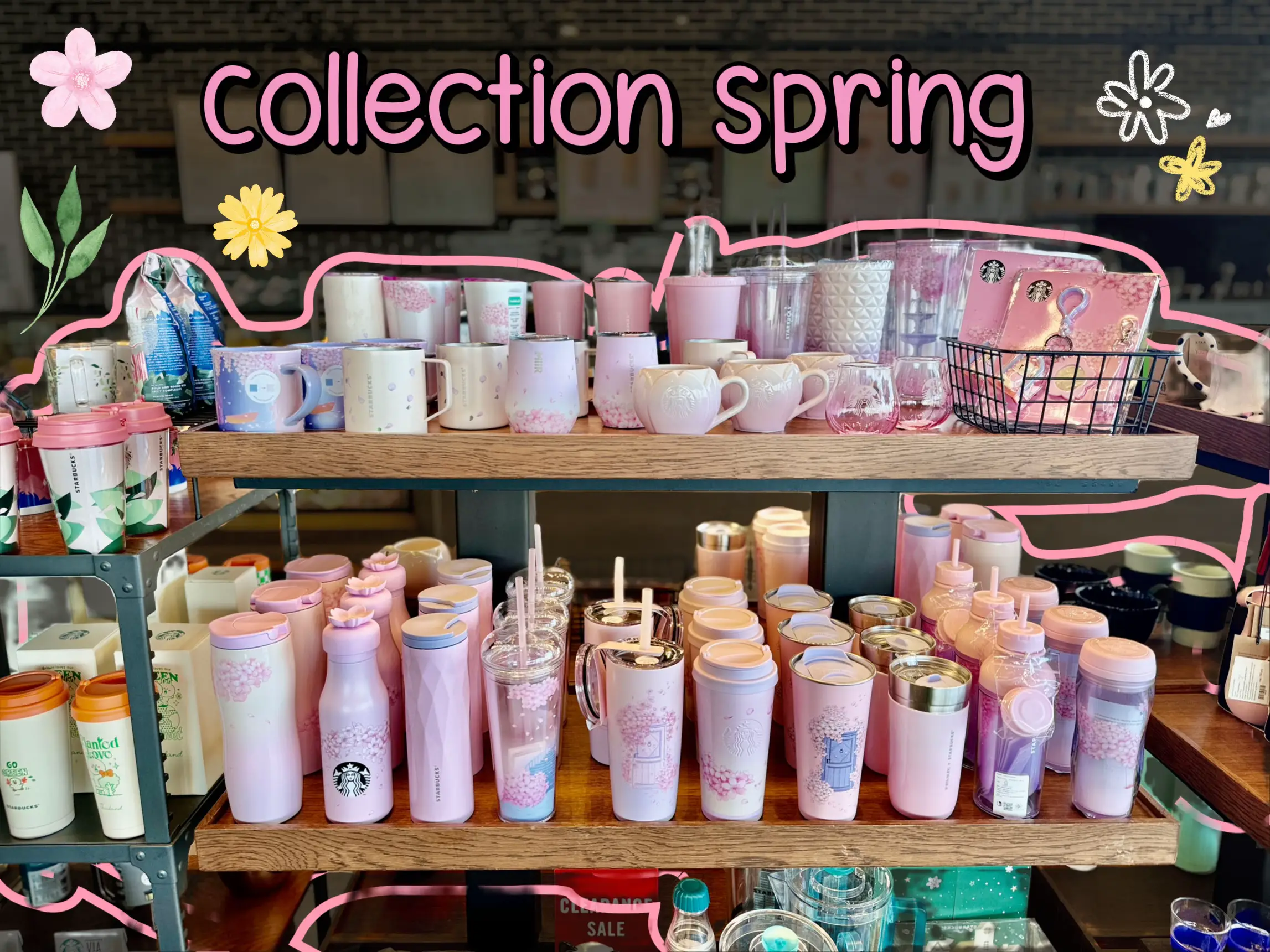 แก้ว Starbucks Collection Spring มาแล้ว🌸 | แกลเลอรีที่โพสต์โดย วิถีของ ...