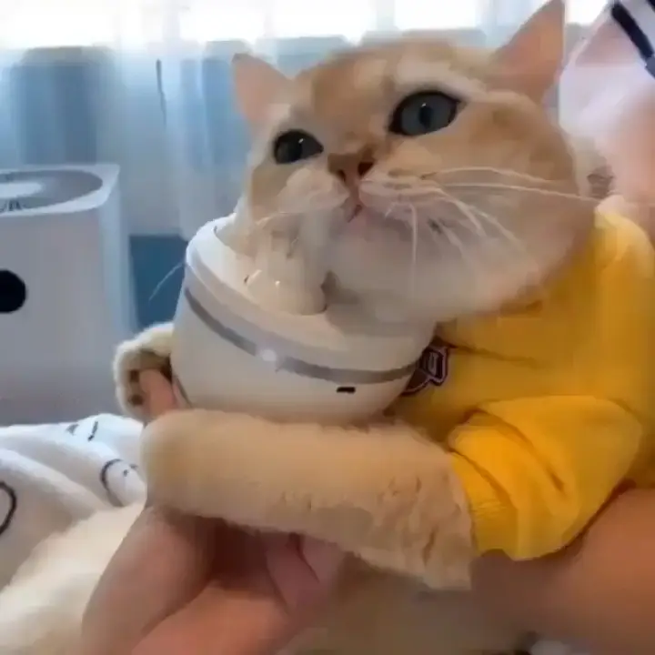 🥰🥰 | วิดีโอที่เผยแพร่โดย BAB | Lemon8